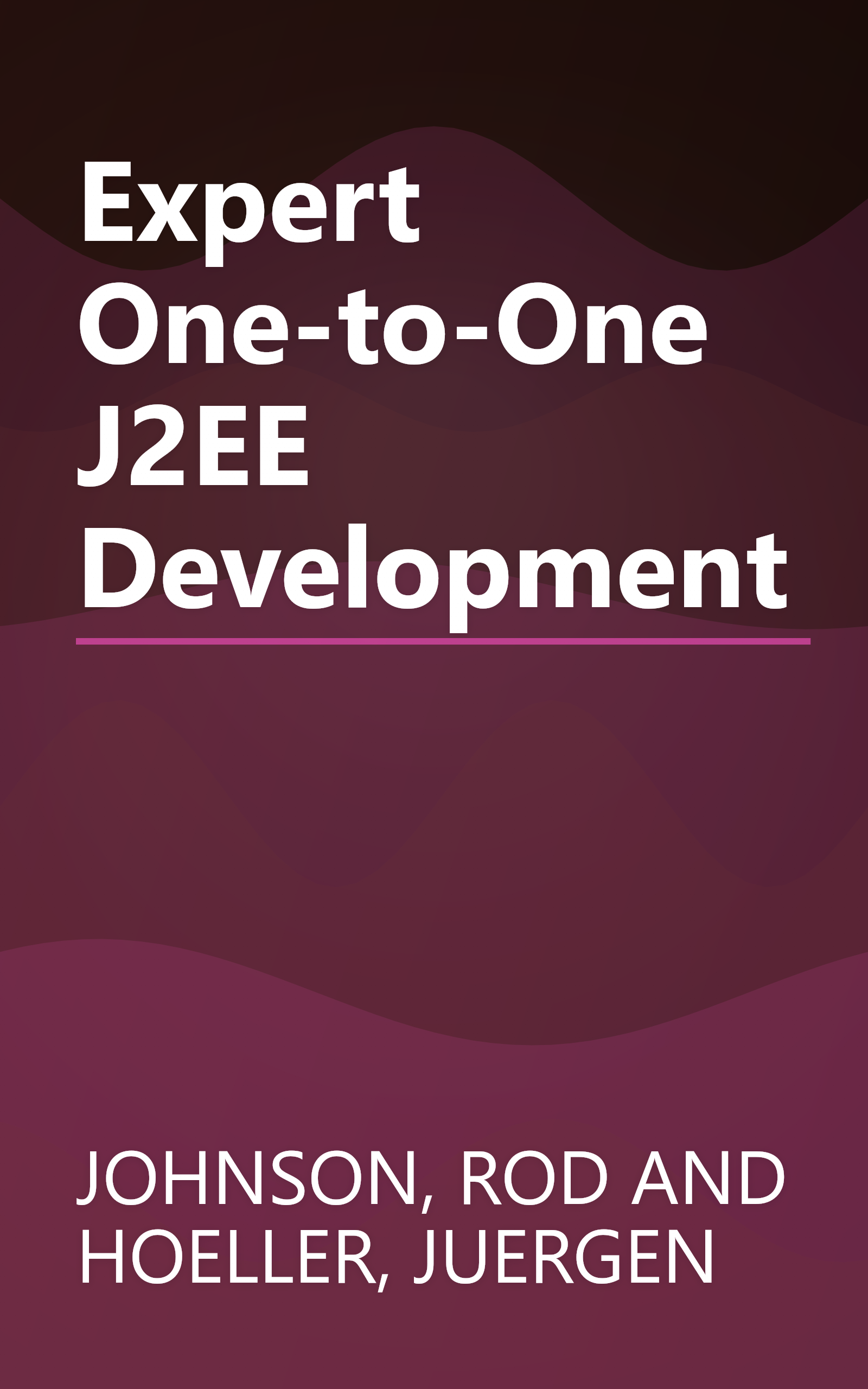 Expert One-to-One J2EE Development book cover