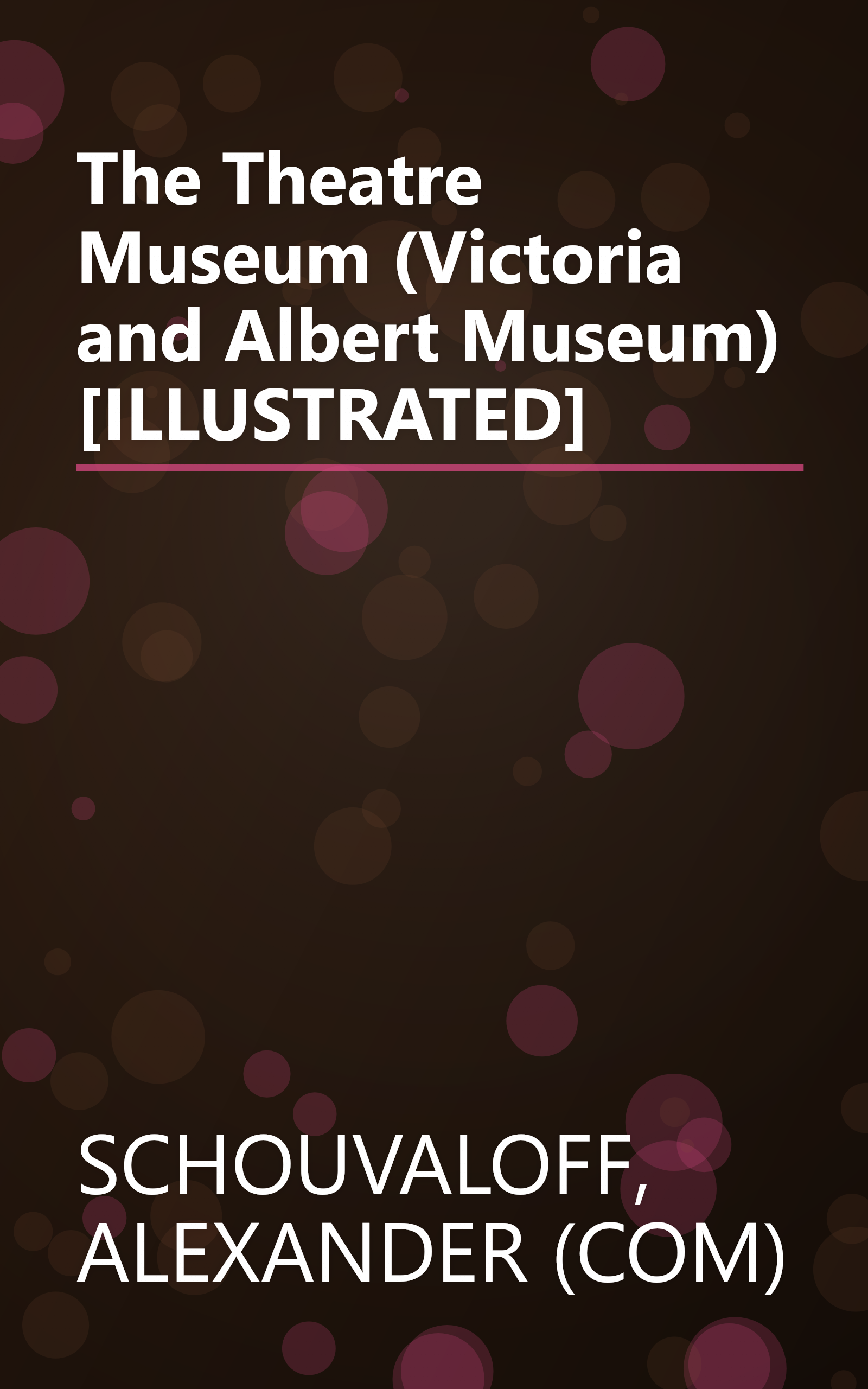 The Theatre Museum (Victoria and Albert Museum) [ILLUSTRATED] book cover