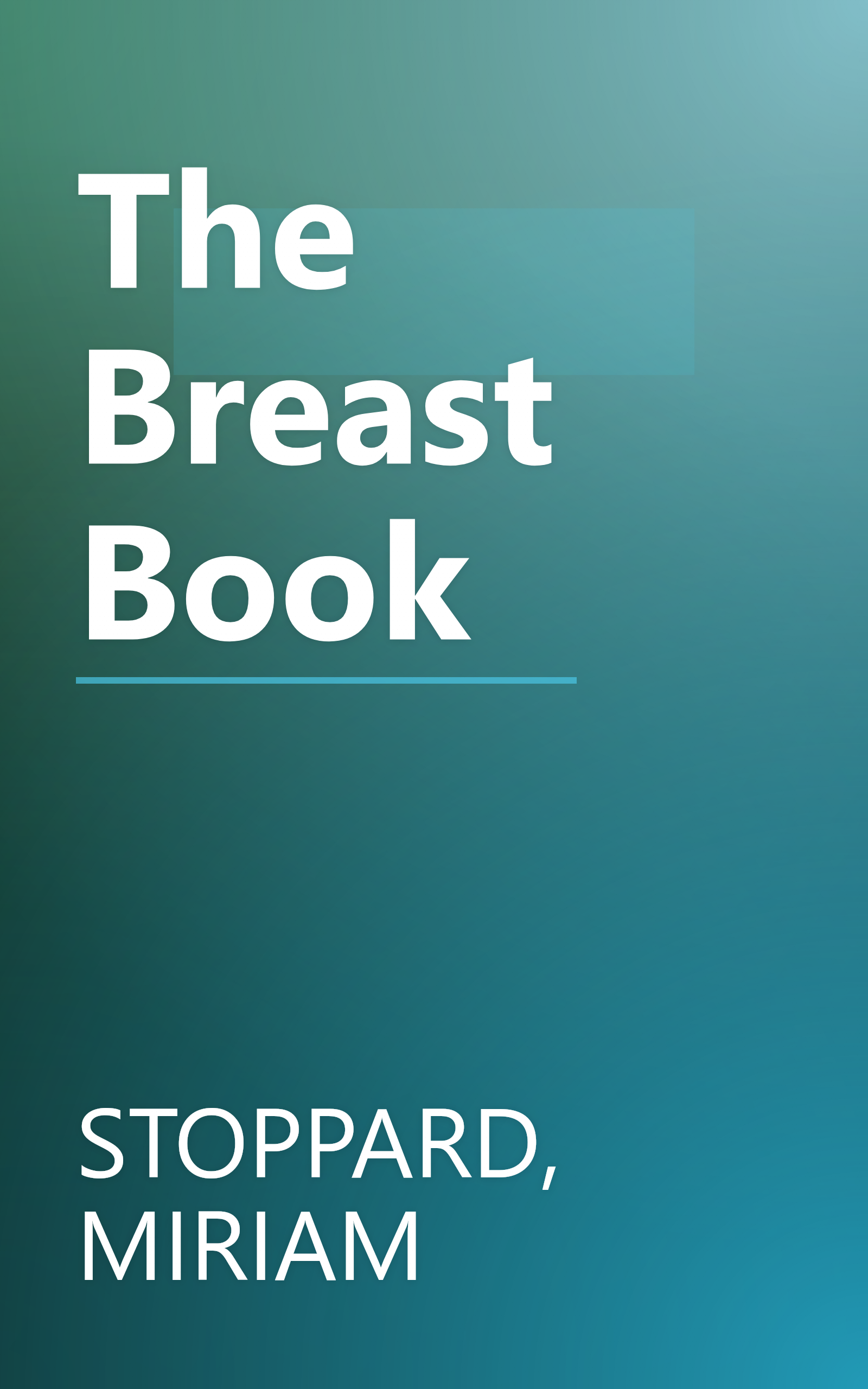 The Breast Book book cover