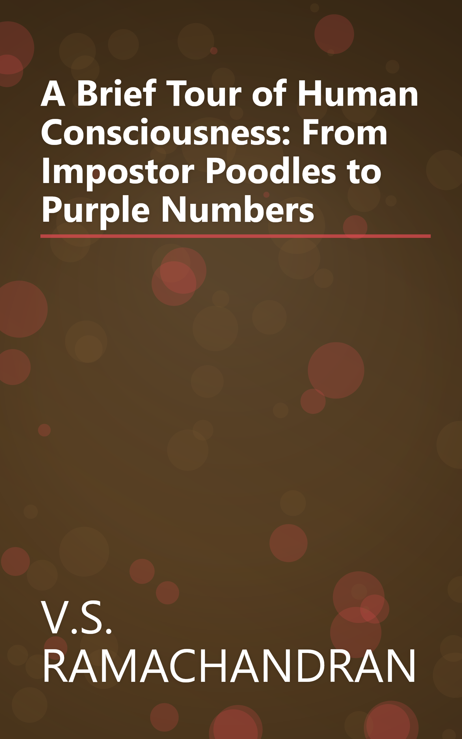 A Brief Tour of Human Consciousness: From Impostor Poodles to Purple Numbers book cover