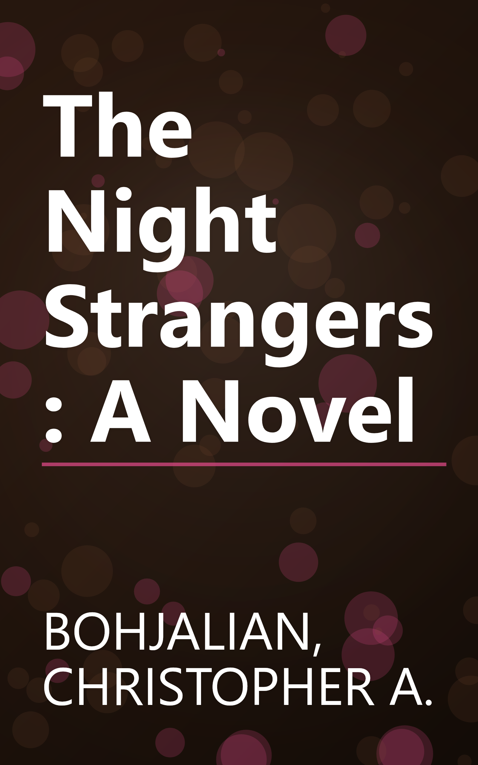 The Night Strangers: A Novel book cover