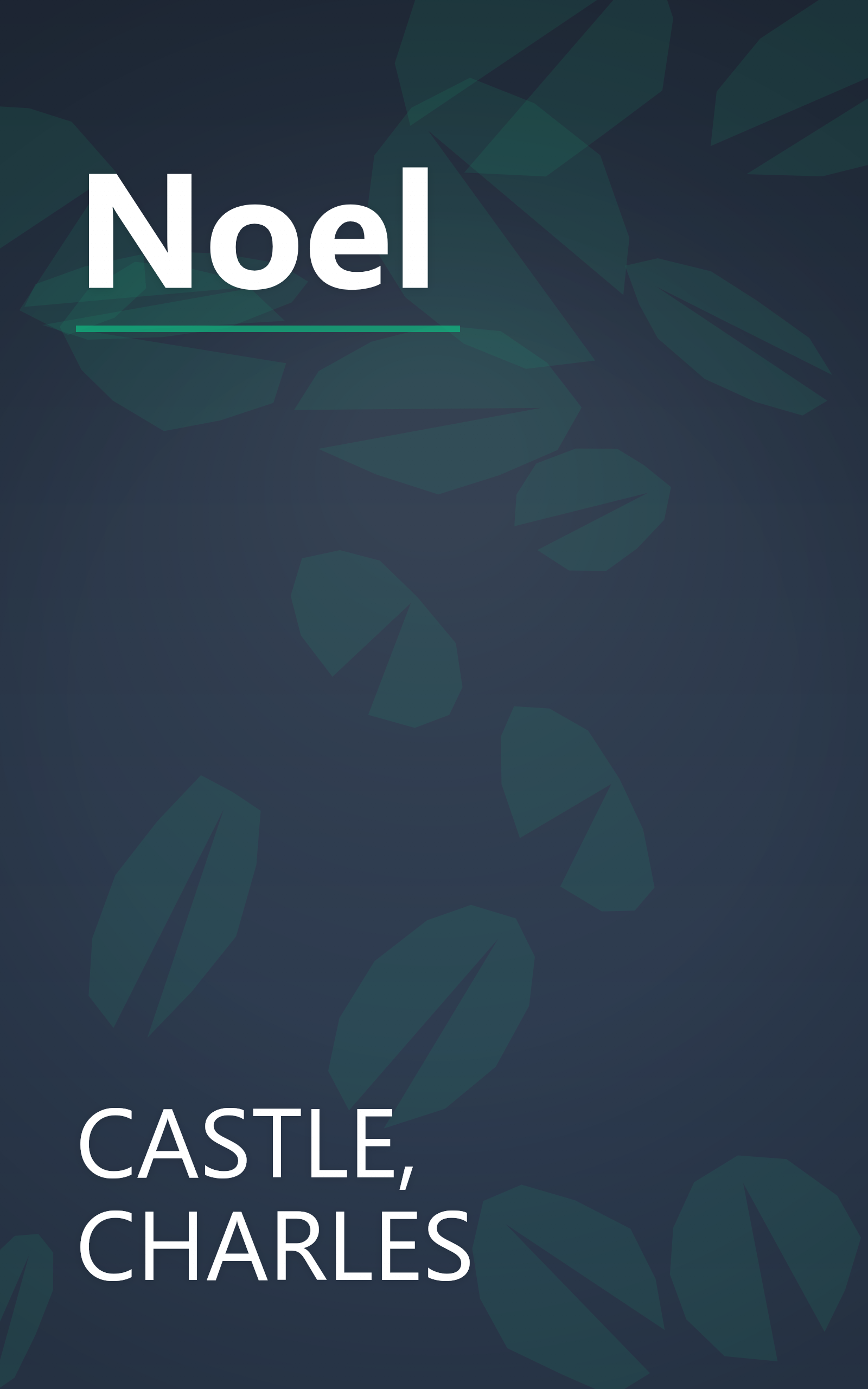 Noel book cover