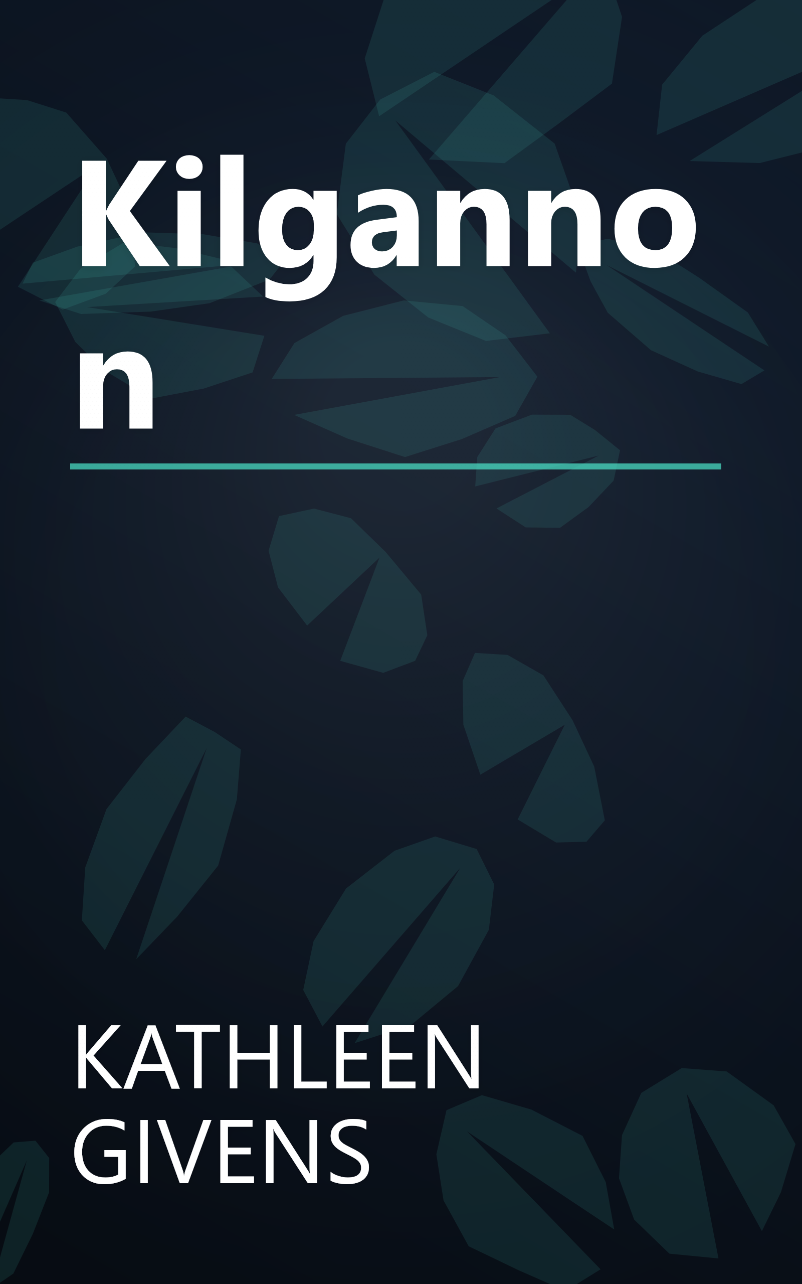 Kilgannon book cover
