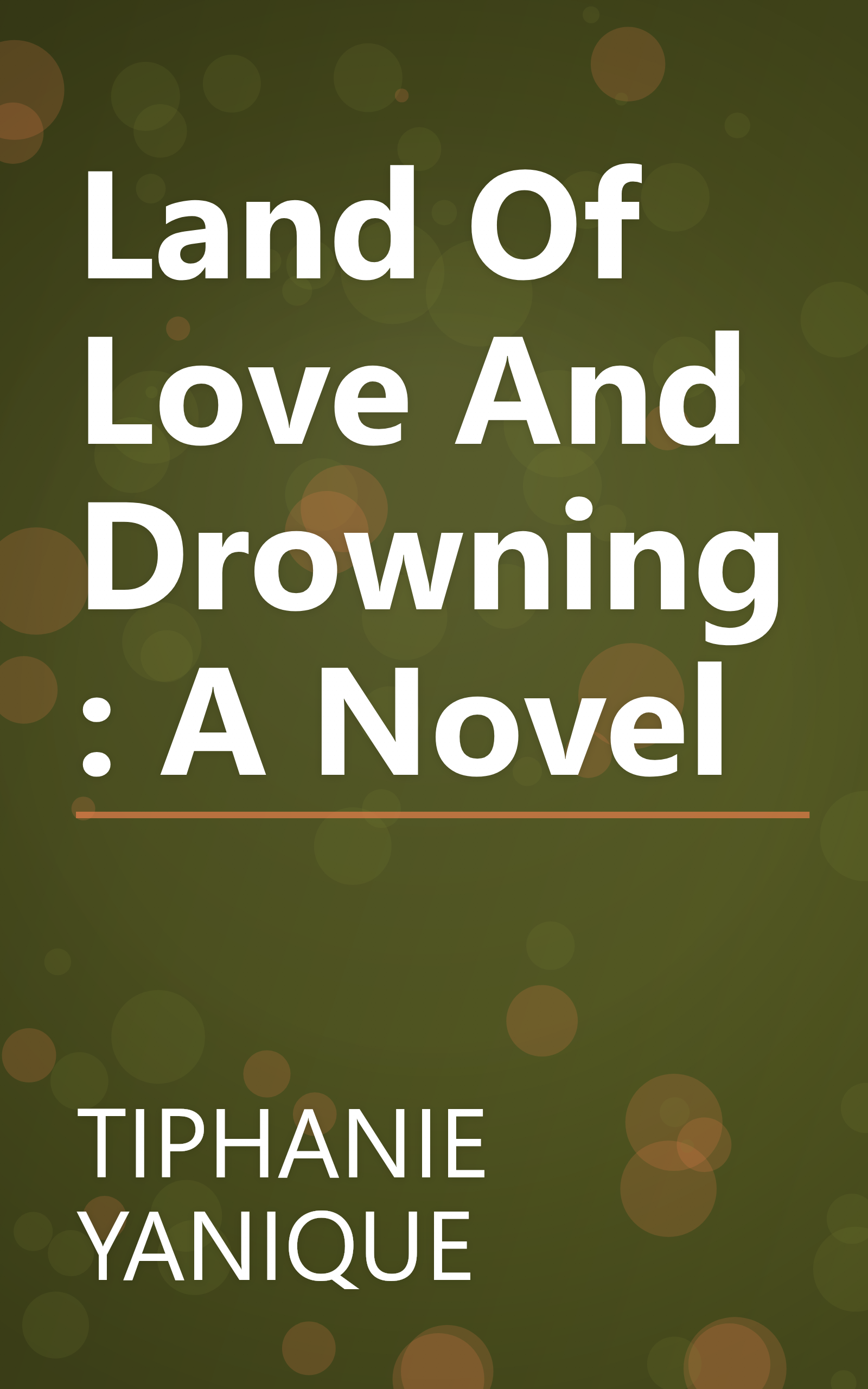 Land Of Love And Drowning: A Novel book cover