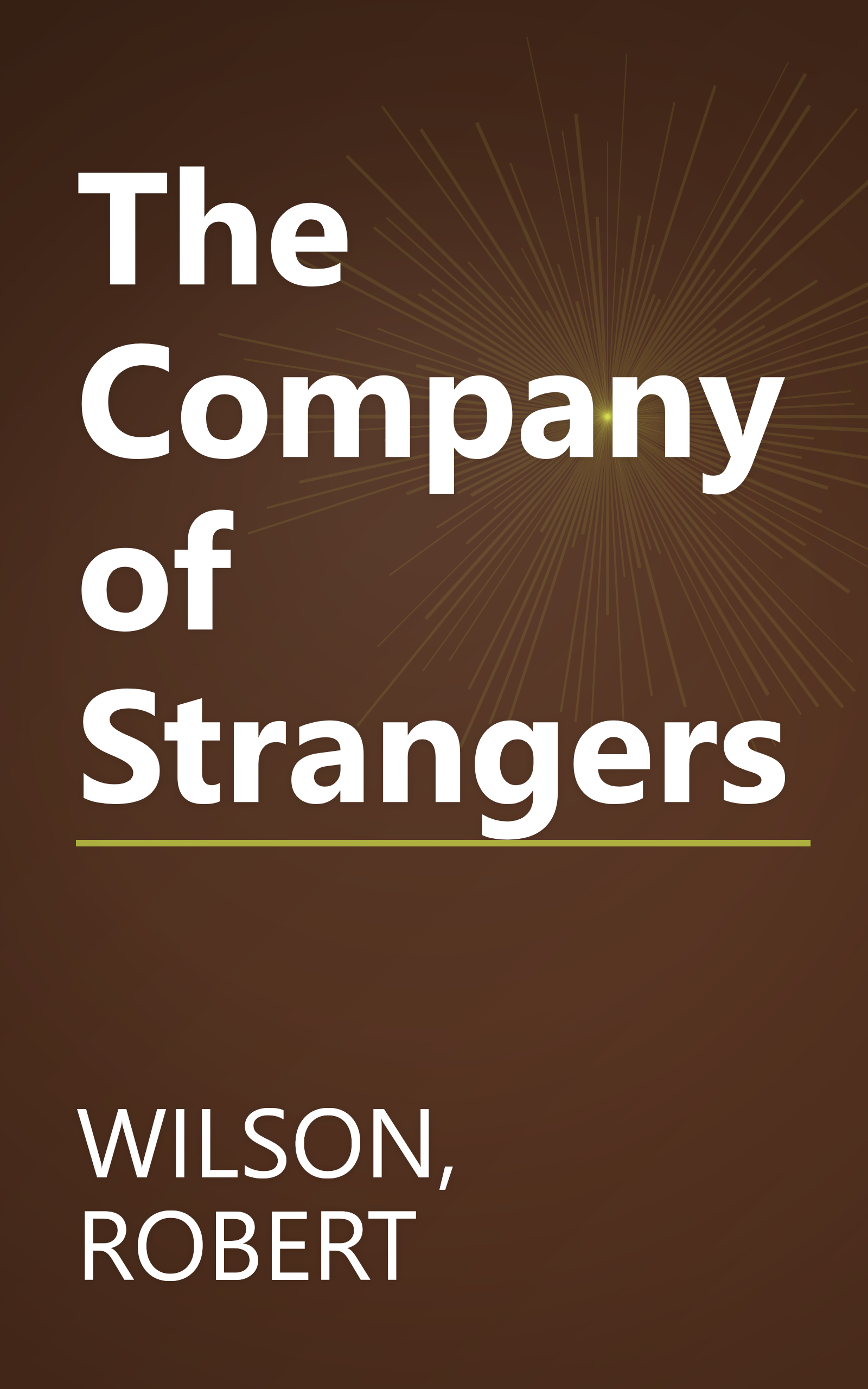 The Company of Strangers book cover