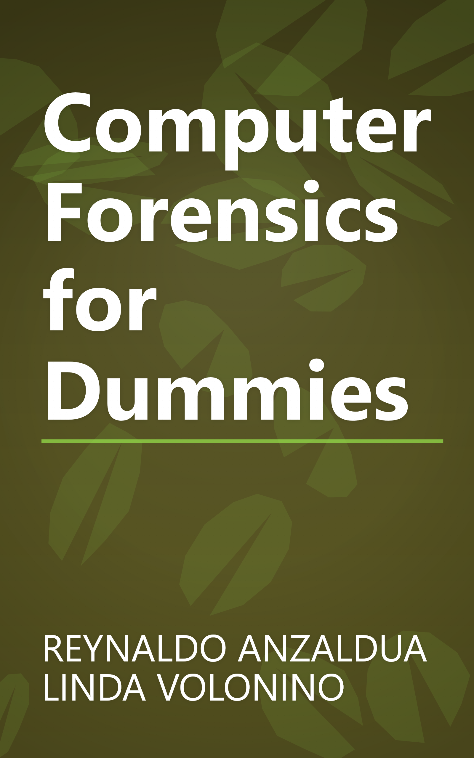 Computer Forensics for Dummies book cover
