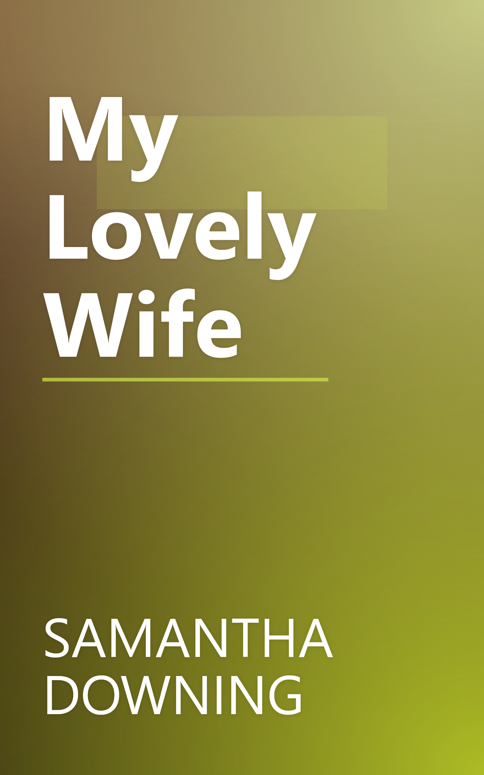 My Lovely Wife book cover