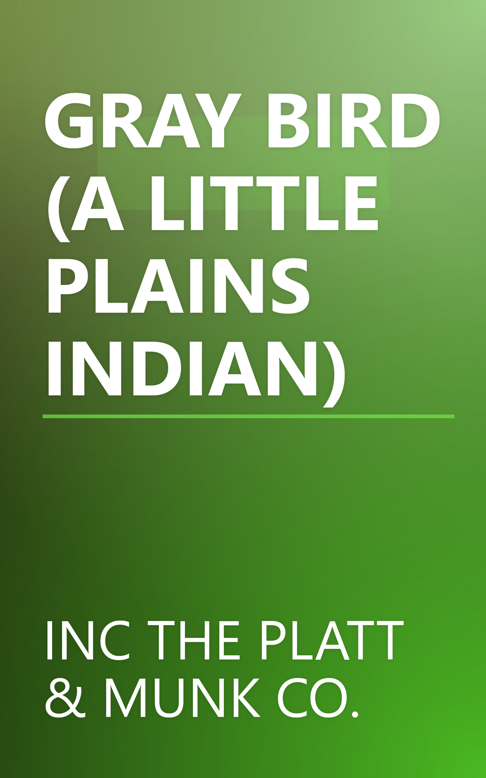 GRAY BIRD (A LITTLE PLAINS INDIAN) book cover