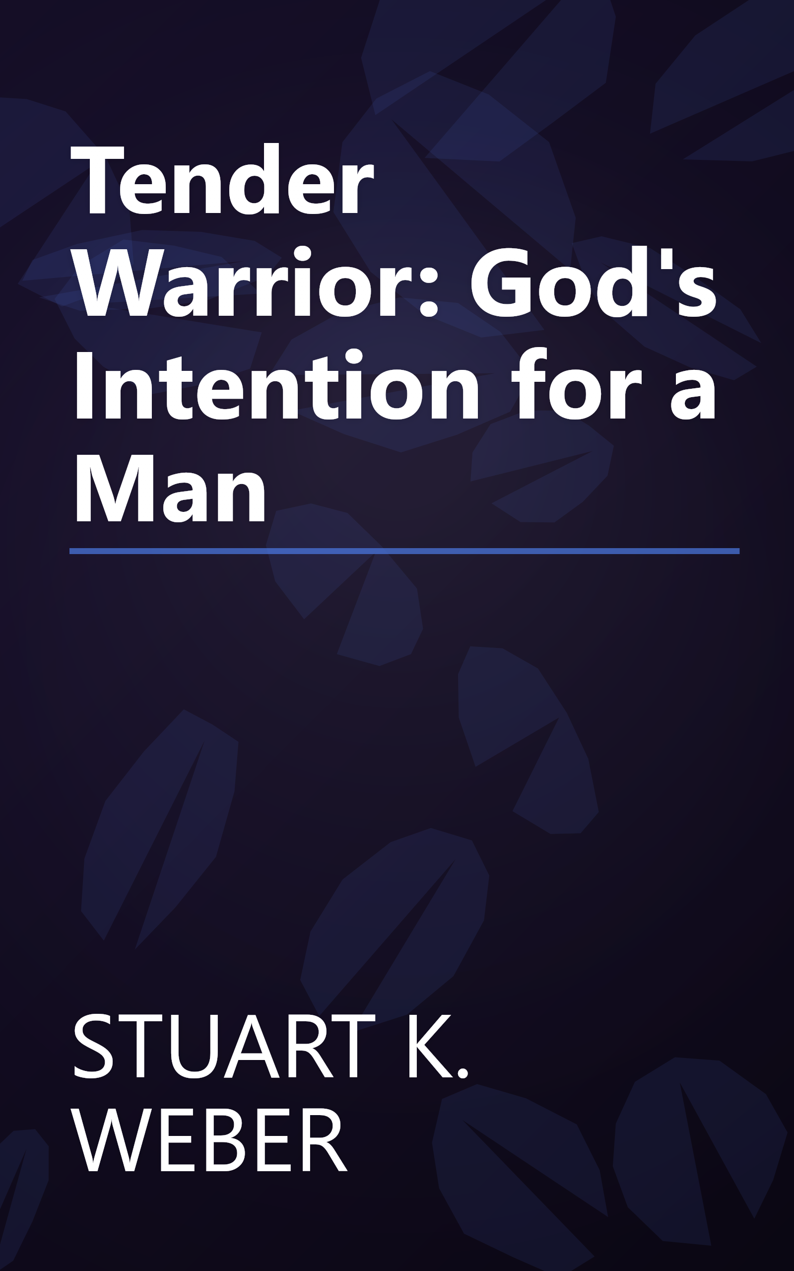Tender Warrior: God's Intention for a Man book cover
