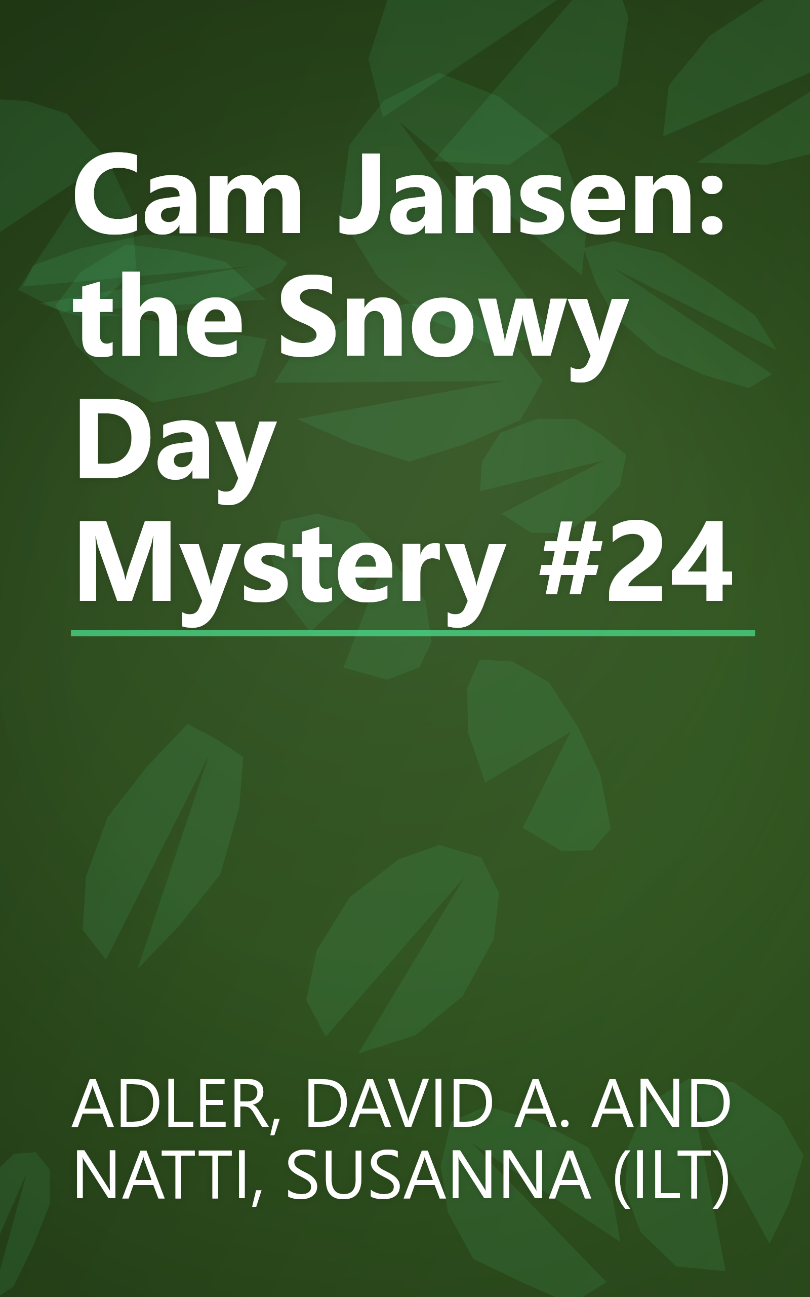 Cam Jansen: the Snowy Day Mystery #24 book cover