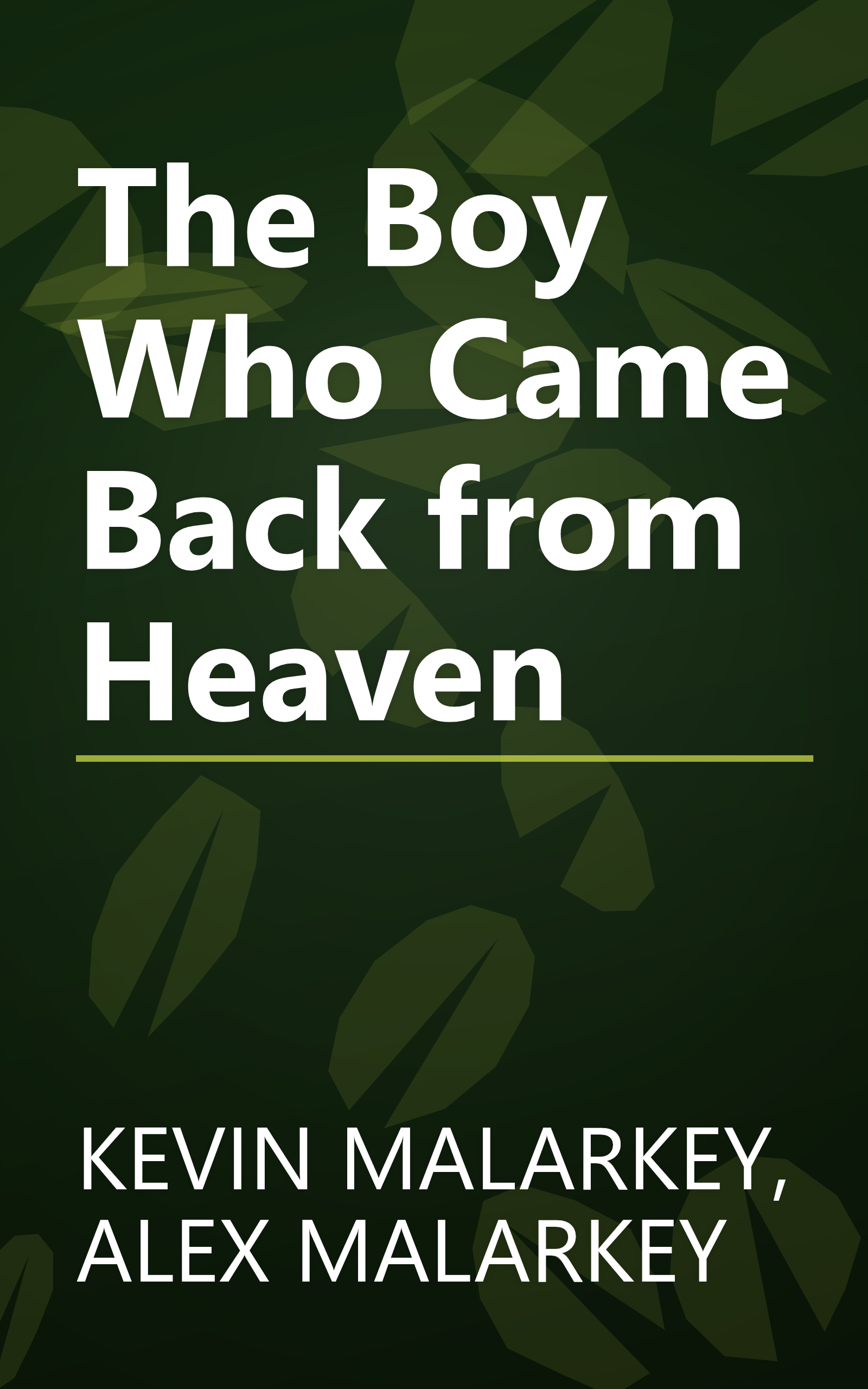 The Boy Who Came Back from Heaven book cover