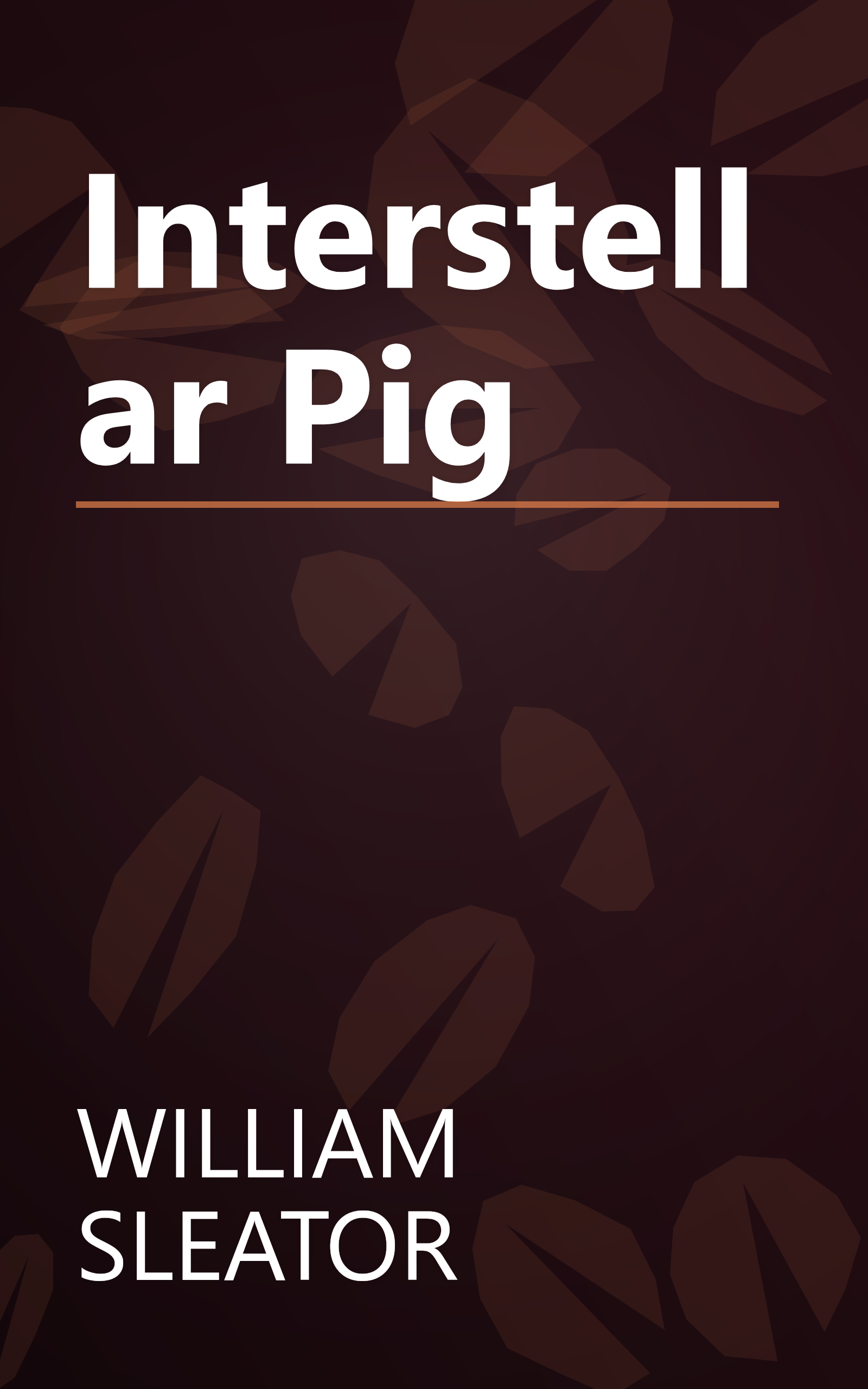 Interstellar Pig book cover