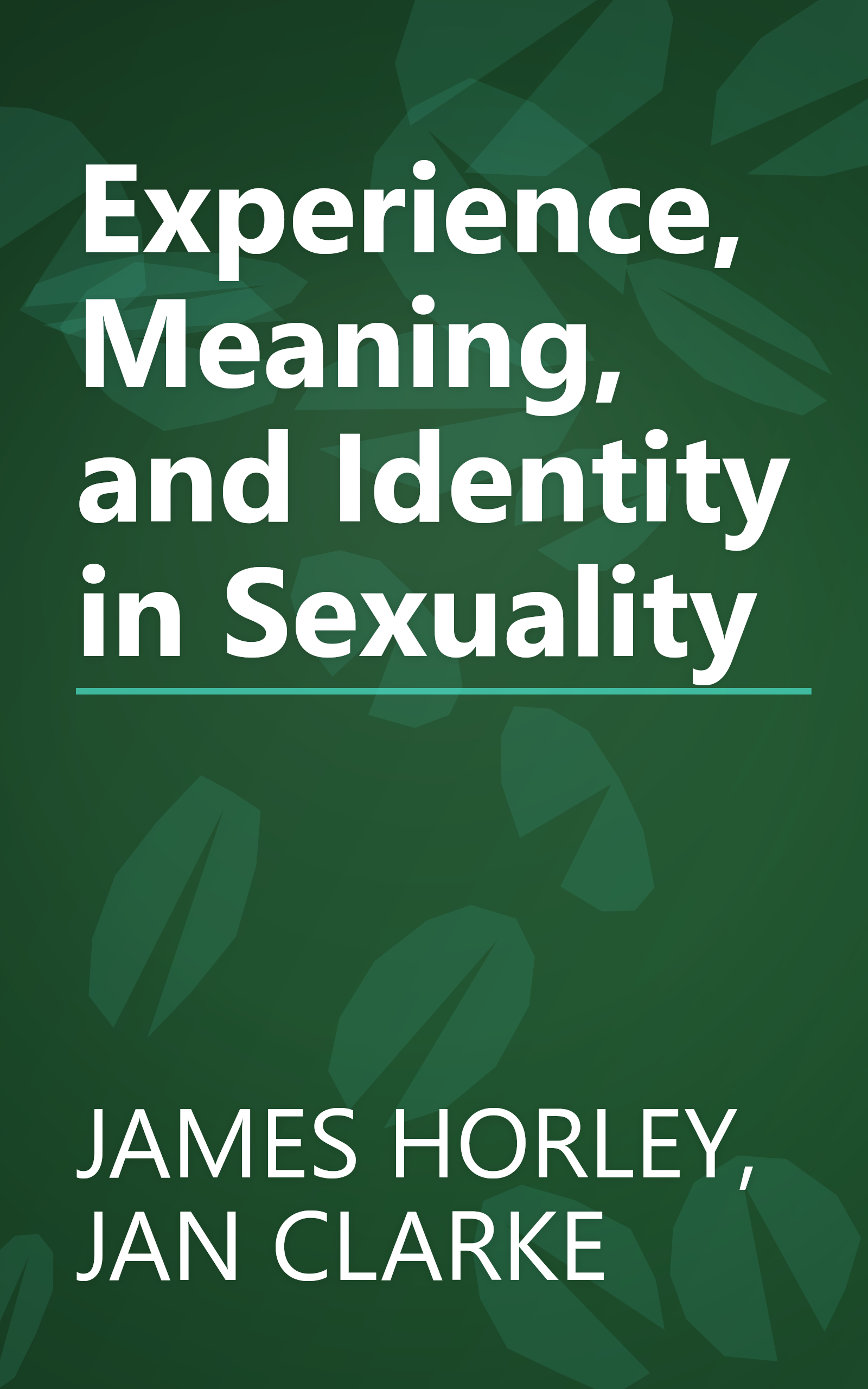 Experience, Meaning, and Identity in Sexuality book cover