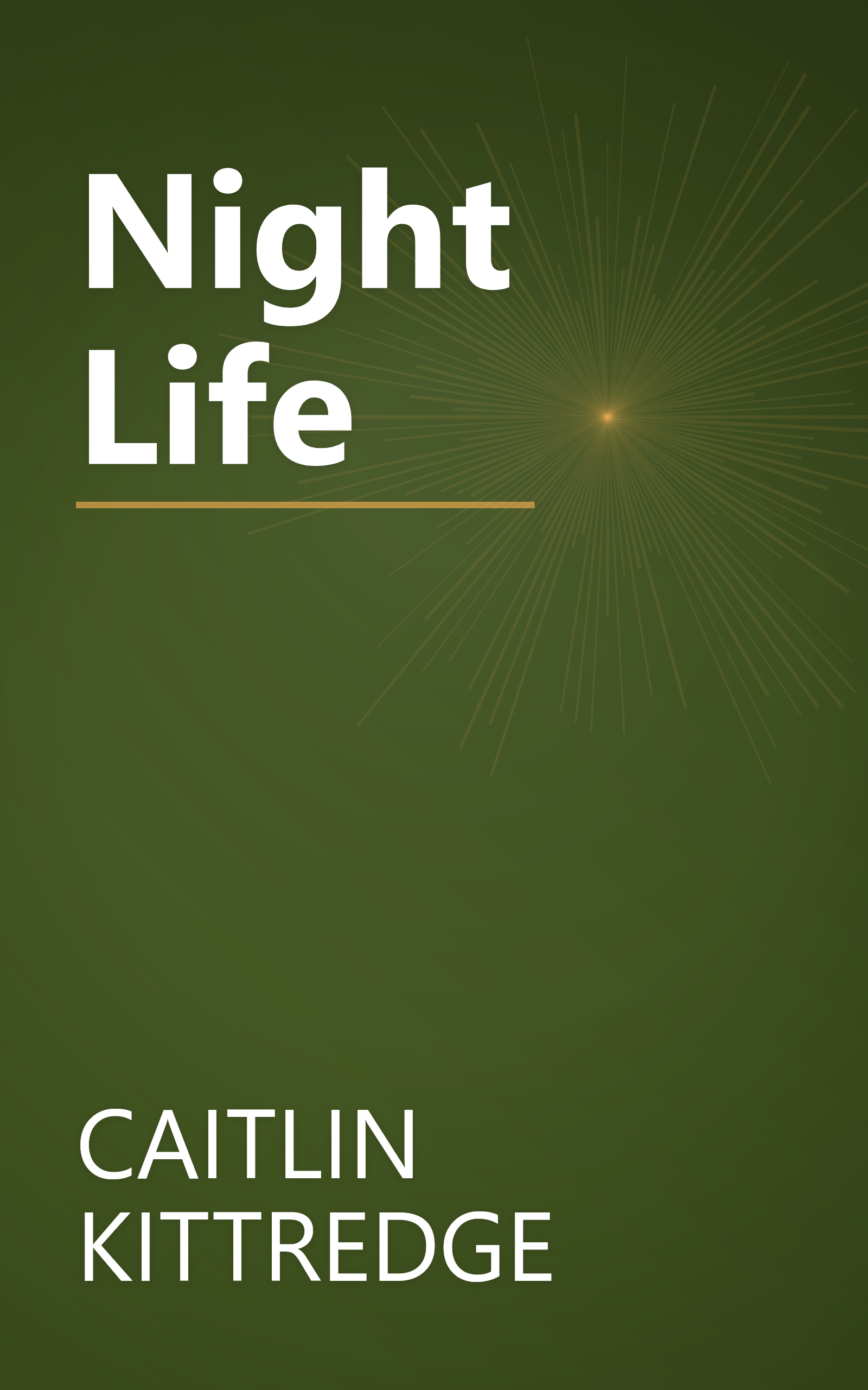 Night Life book cover