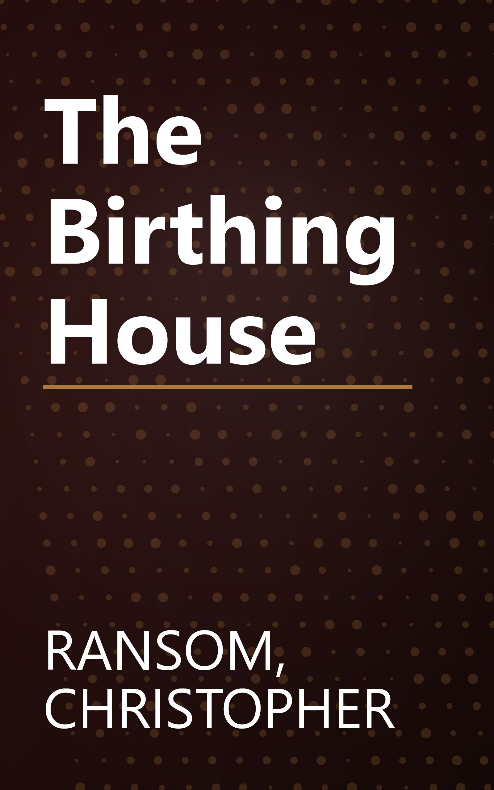The Birthing House book cover