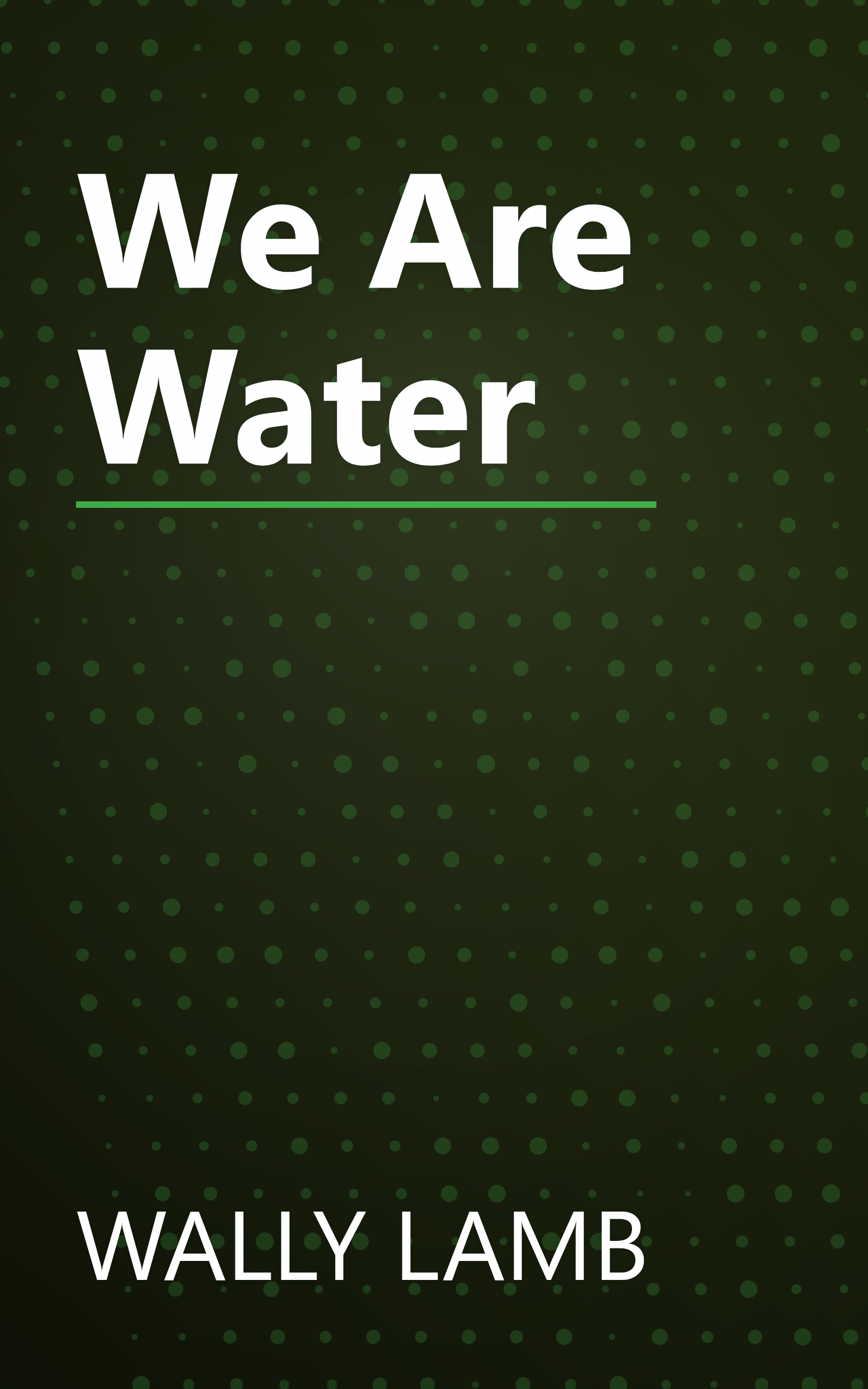 We Are Water book cover