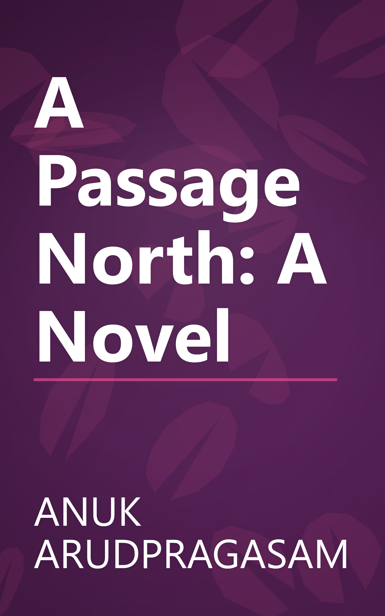 A Passage North: A Novel book cover