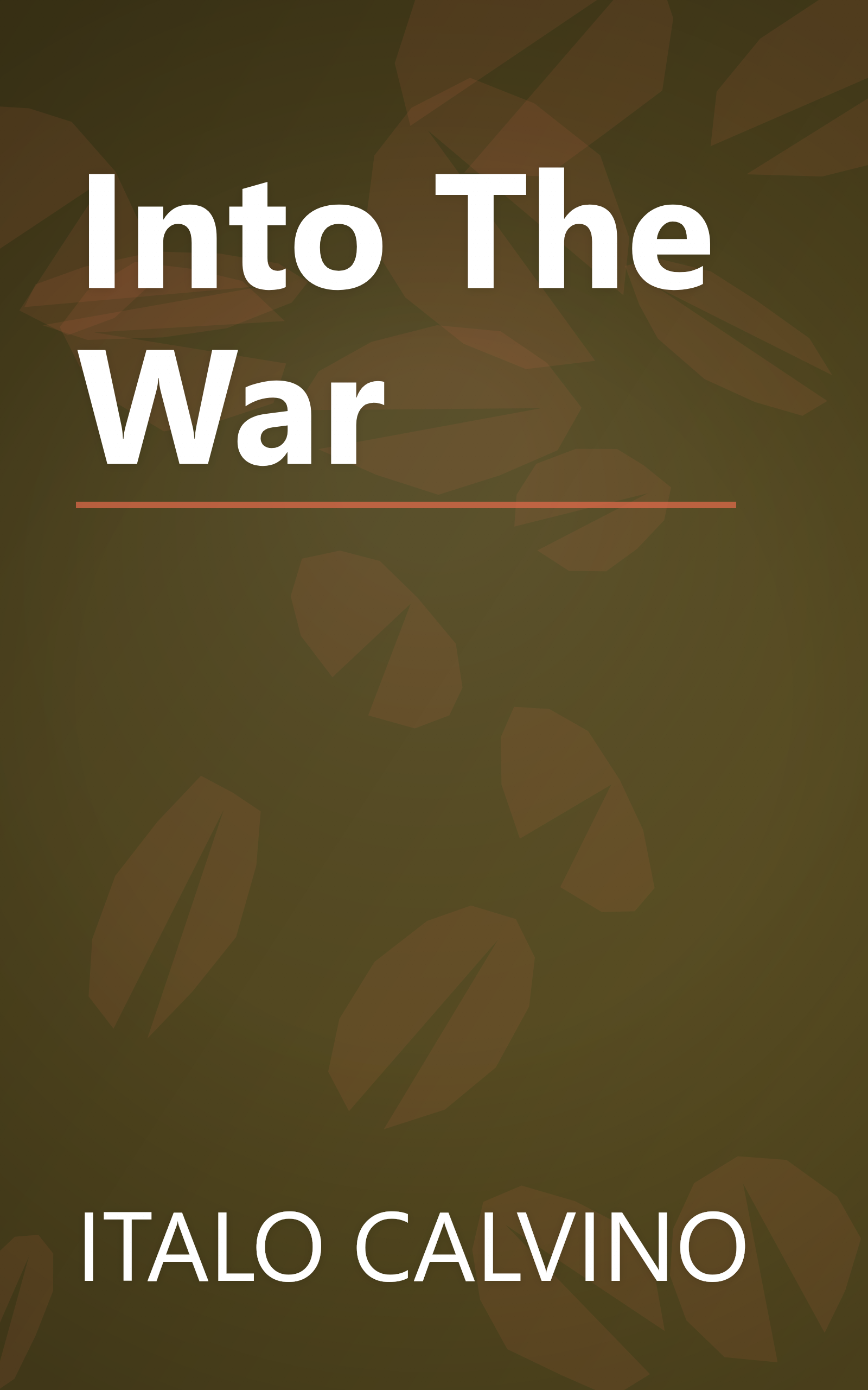 Into The War book cover