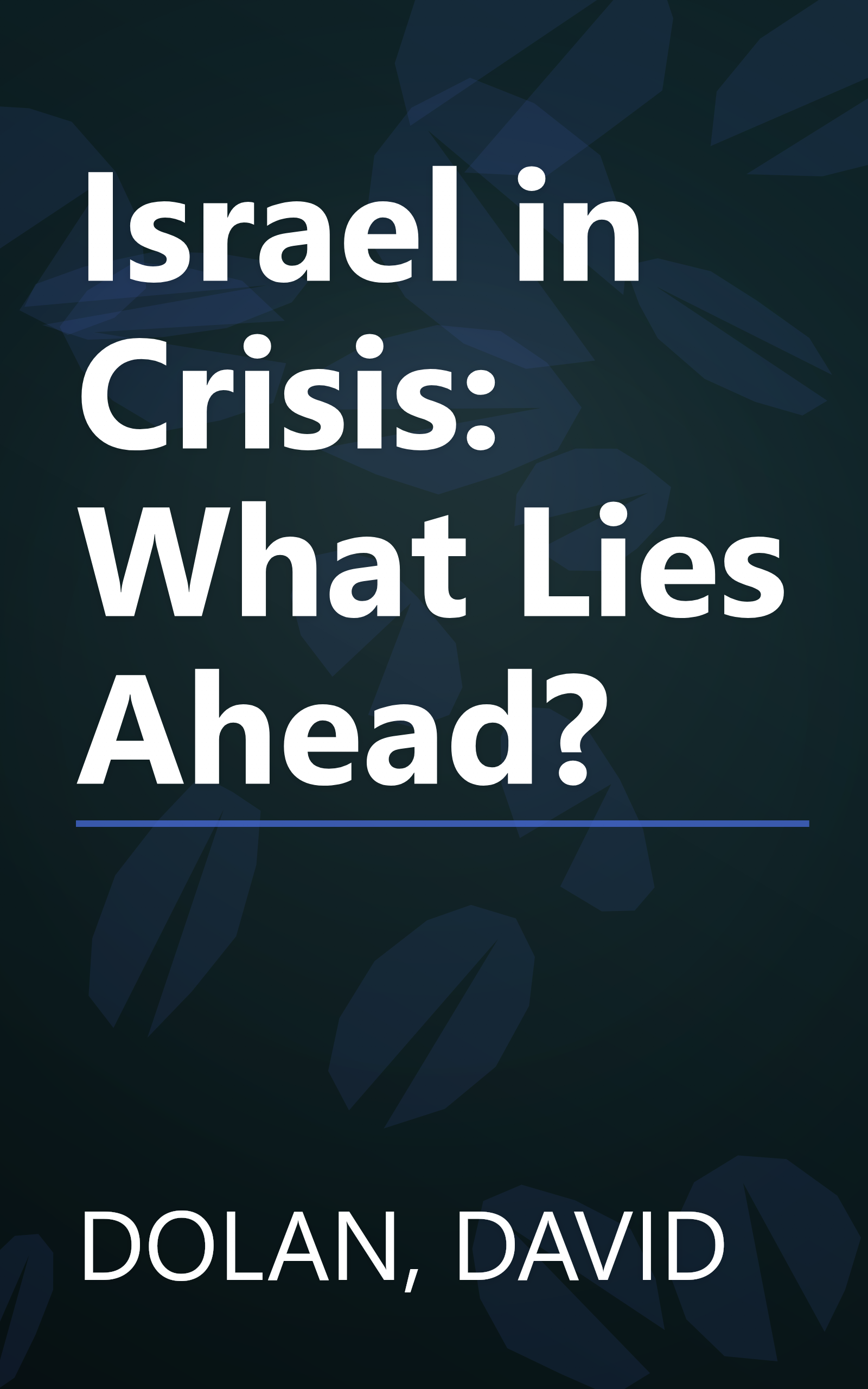 Israel in Crisis: What Lies Ahead? book cover