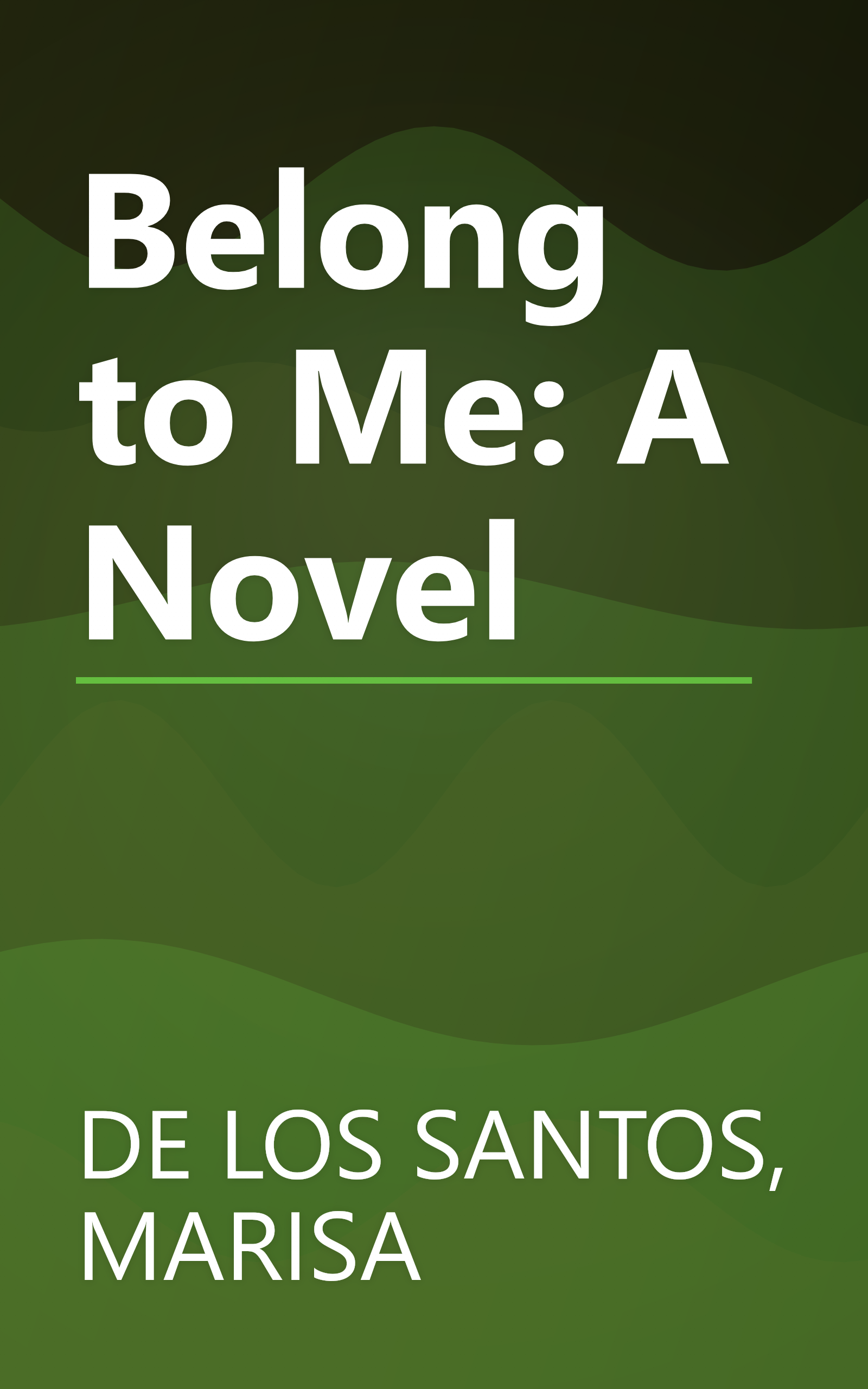 Belong to Me: A Novel book cover