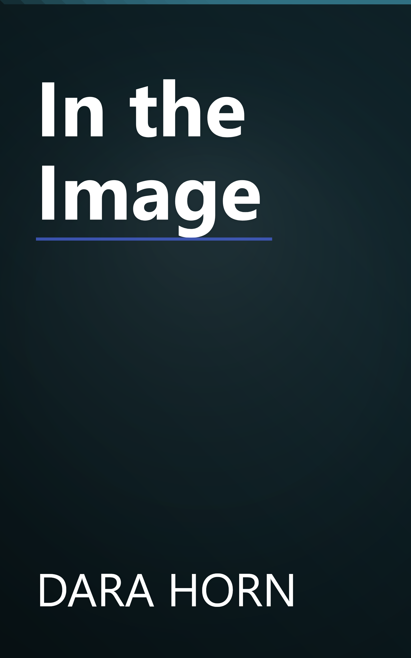 In the Image book cover