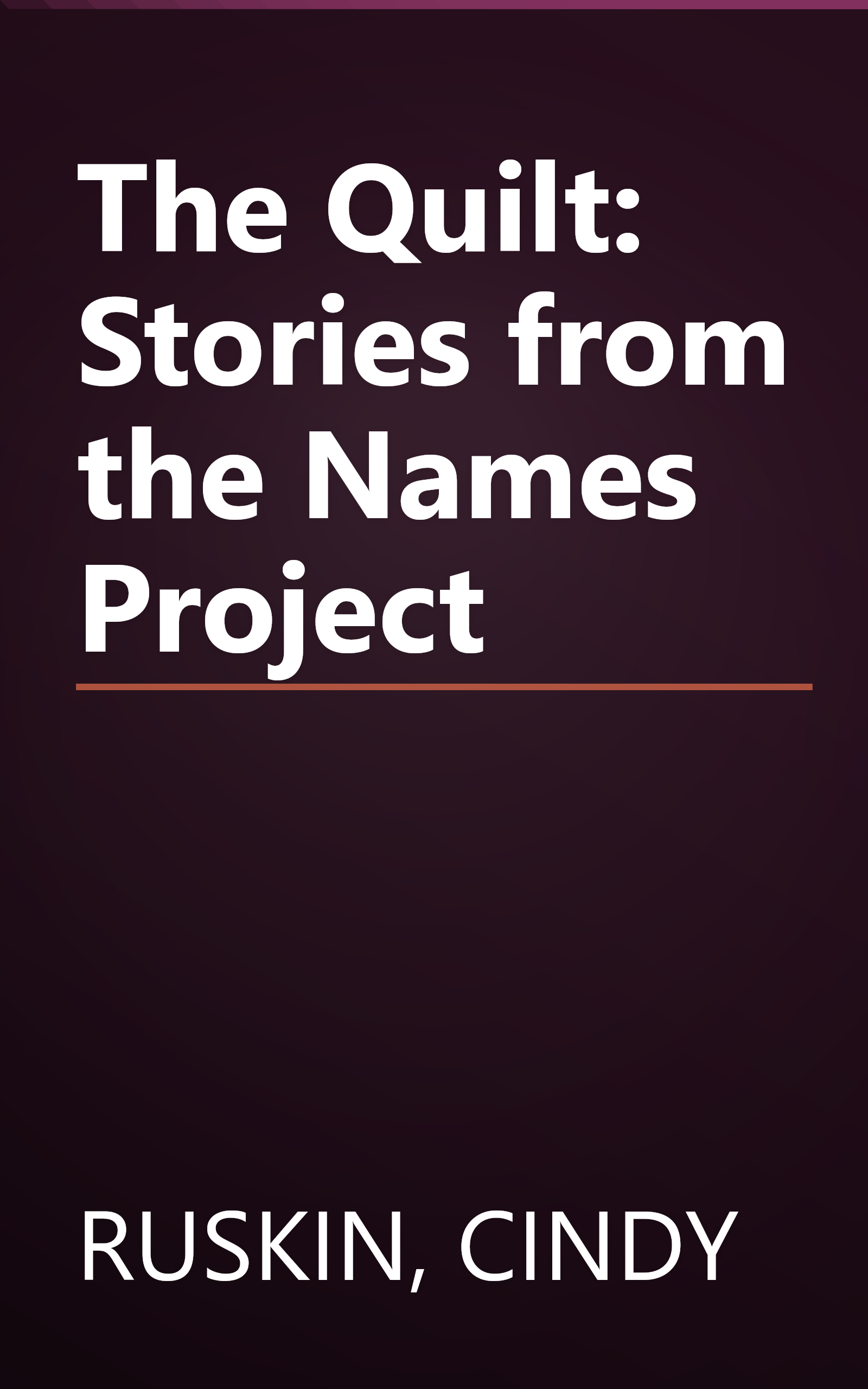 The Quilt: Stories from the Names Project book cover