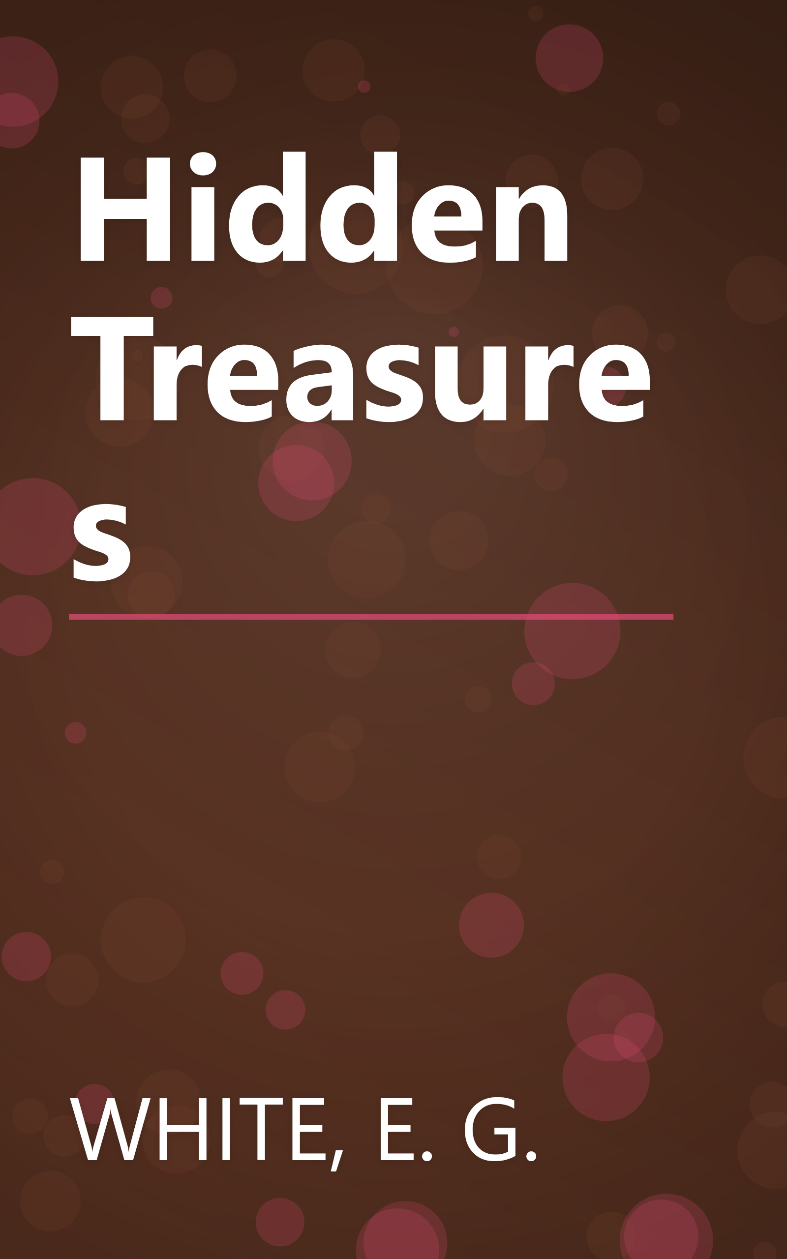 Hidden Treasures book cover