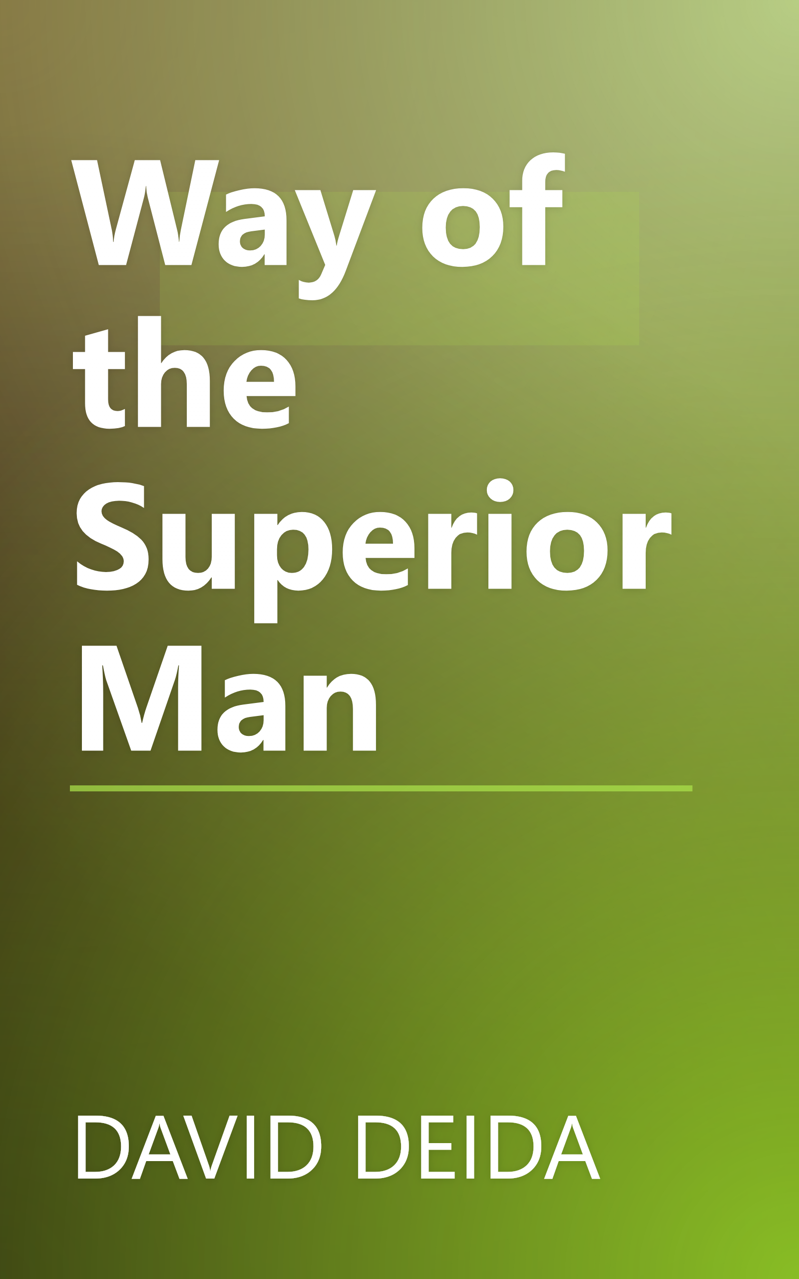 Way of the Superior Man book cover