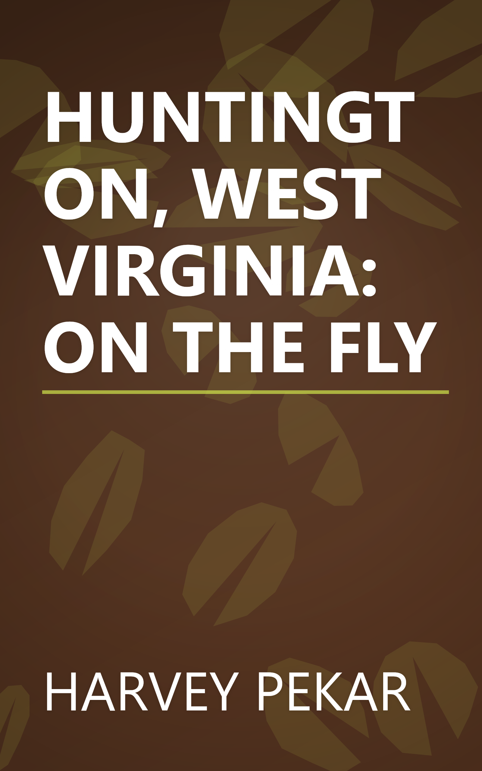 HUNTINGTON, WEST VIRGINIA: ON THE FLY book cover