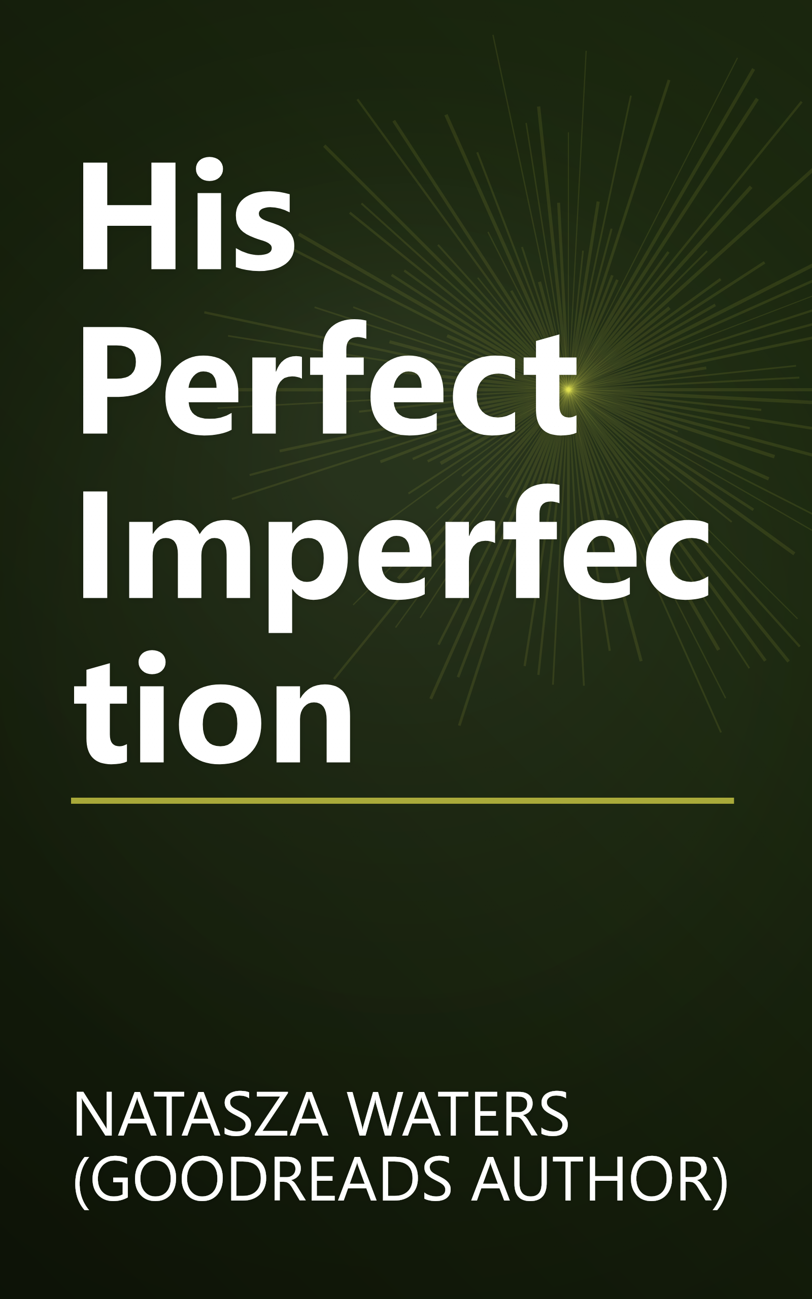 His Perfect Imperfection book cover