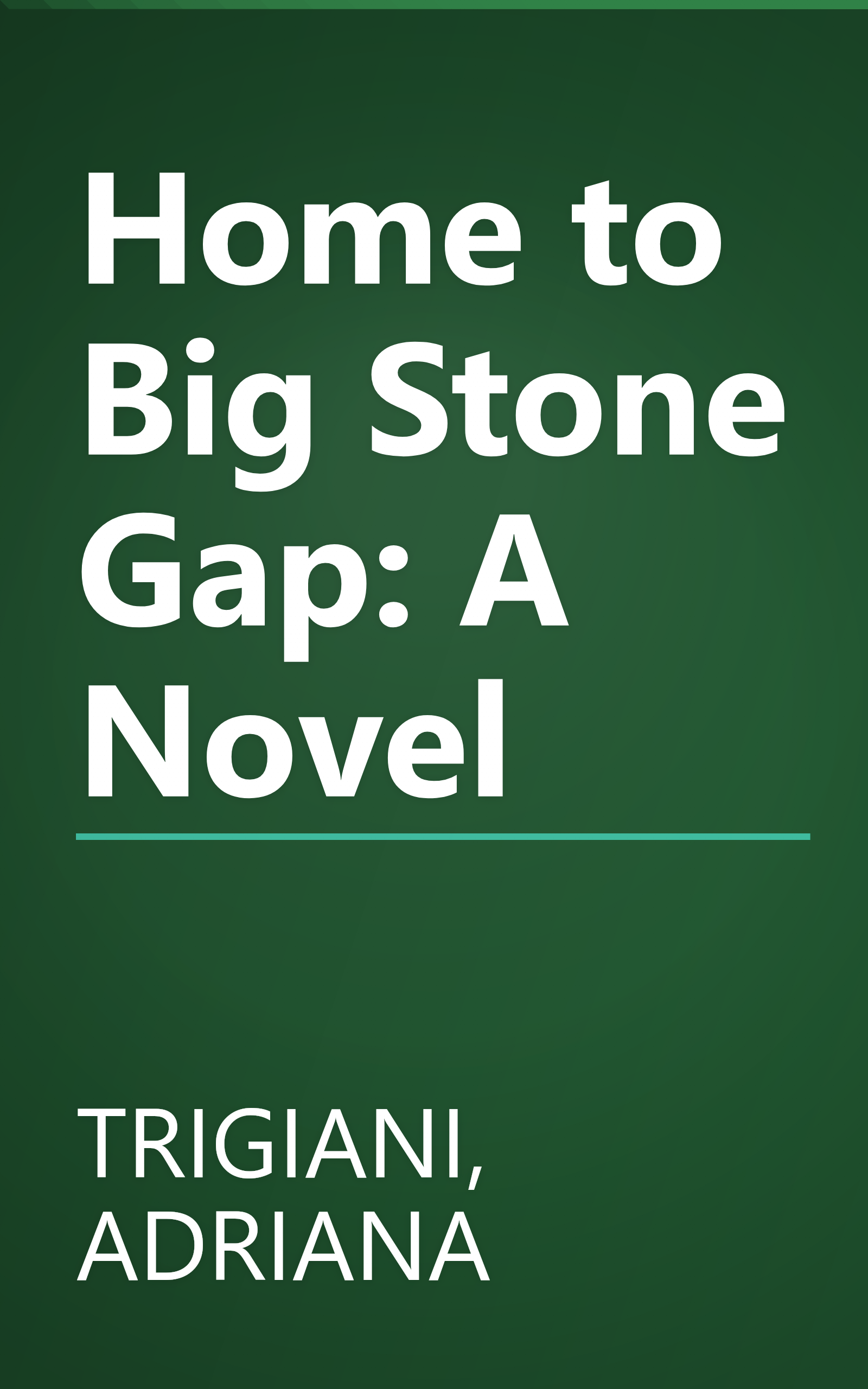 Home to Big Stone Gap: A Novel book cover