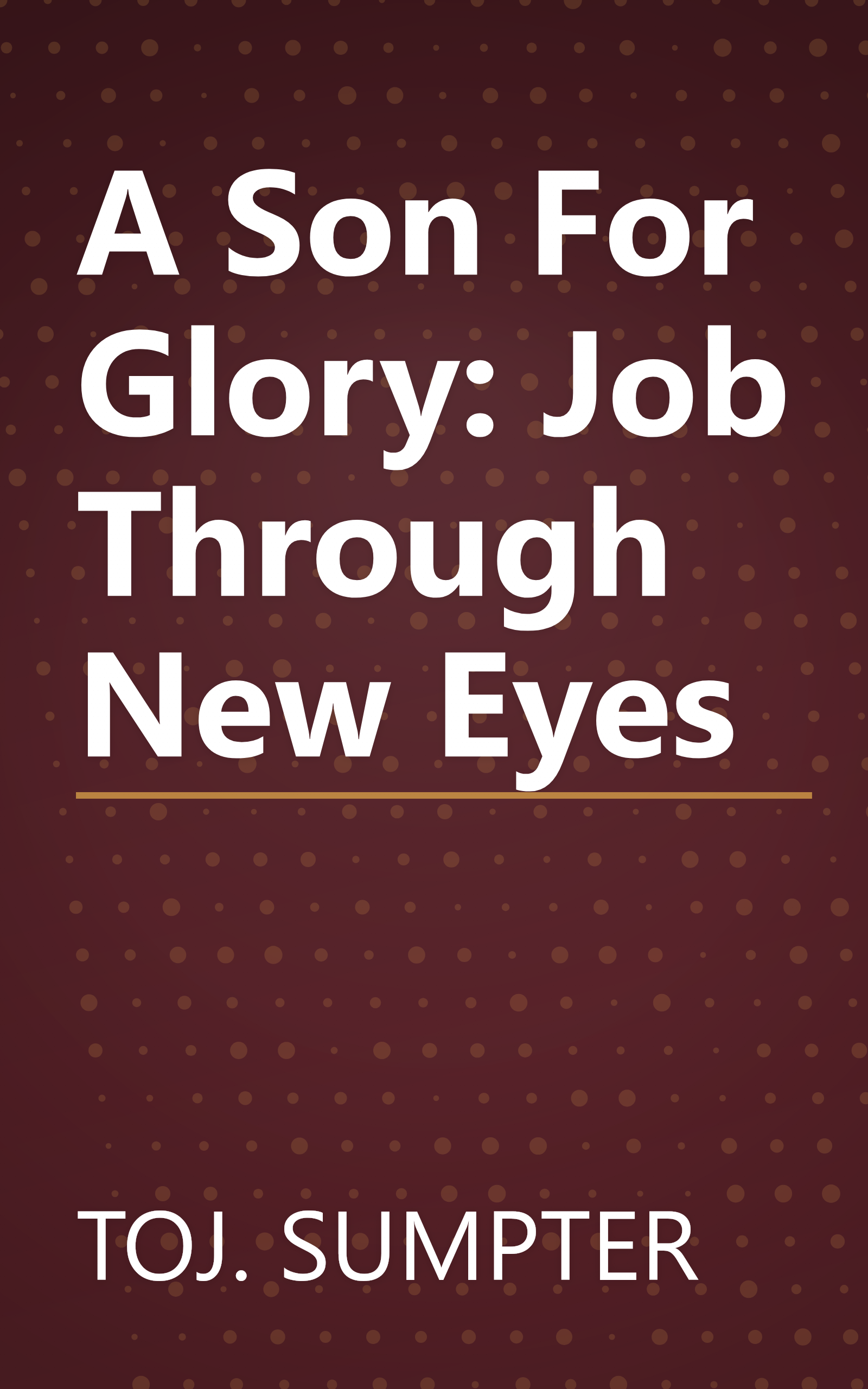 A Son For Glory: Job Through New Eyes book cover