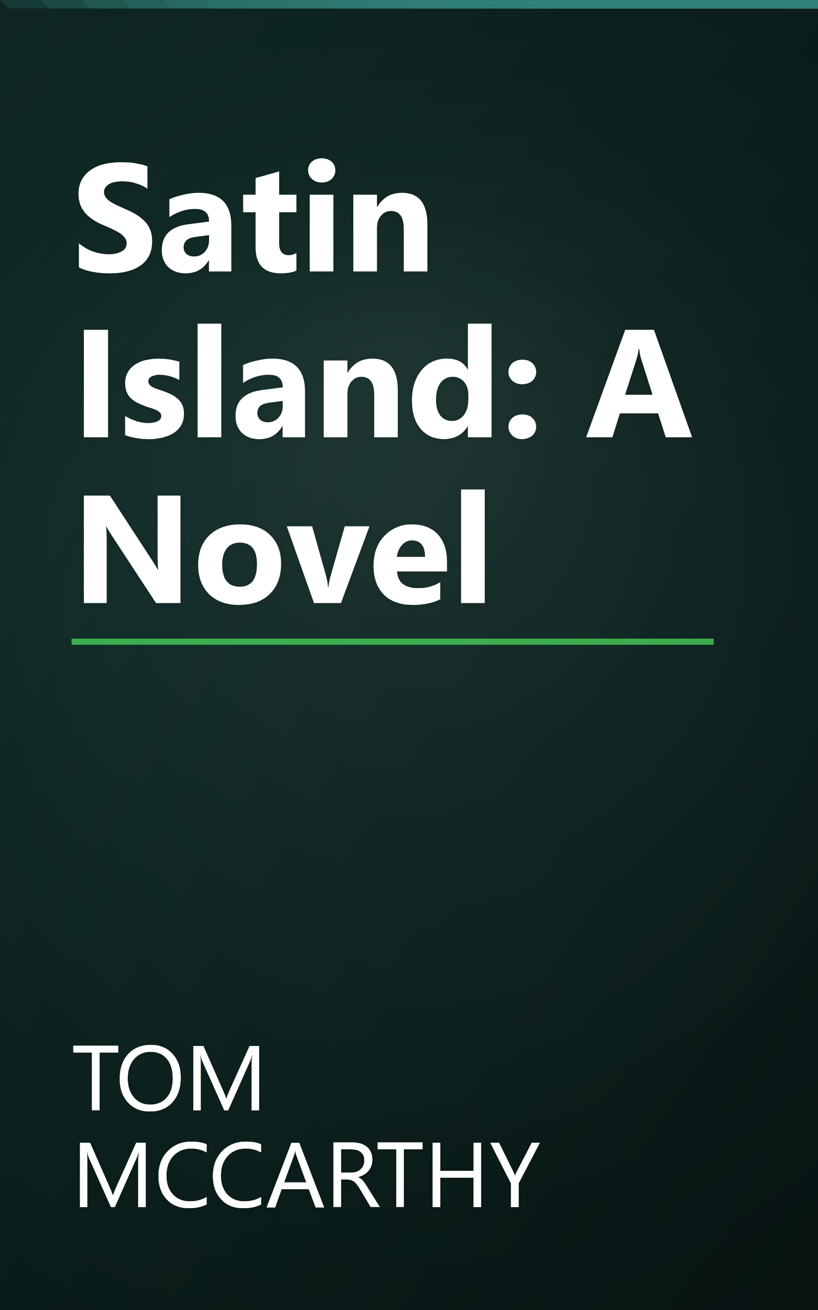 Satin Island: A Novel book cover