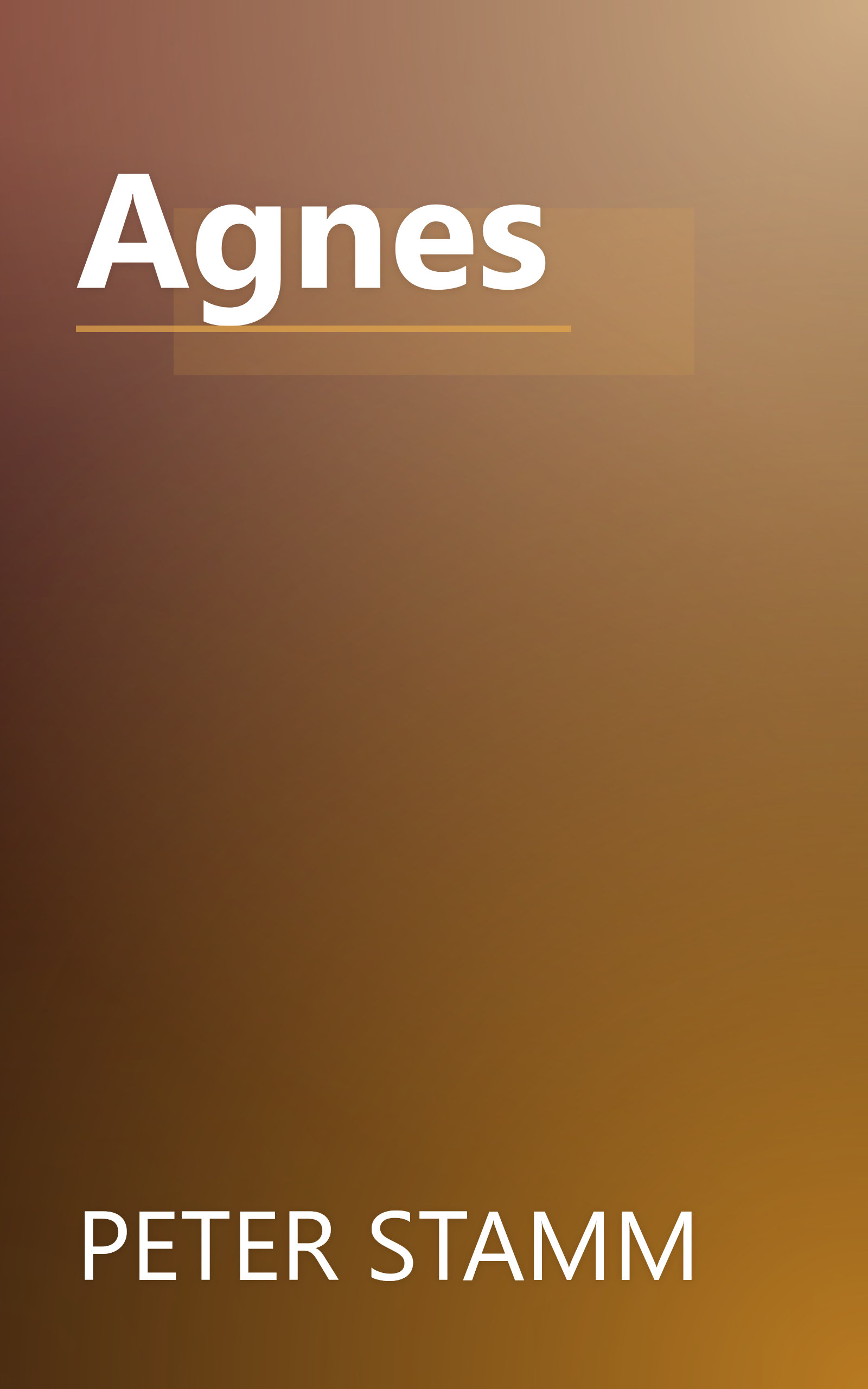 Agnes book cover