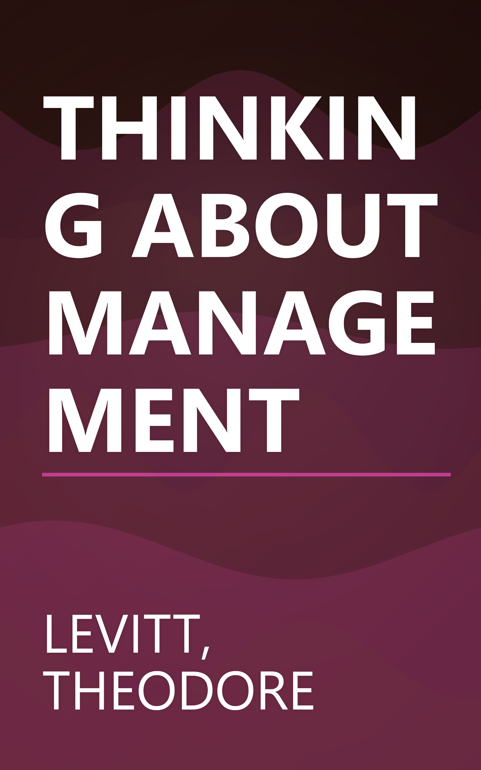 THINKING ABOUT MANAGEMENT book cover