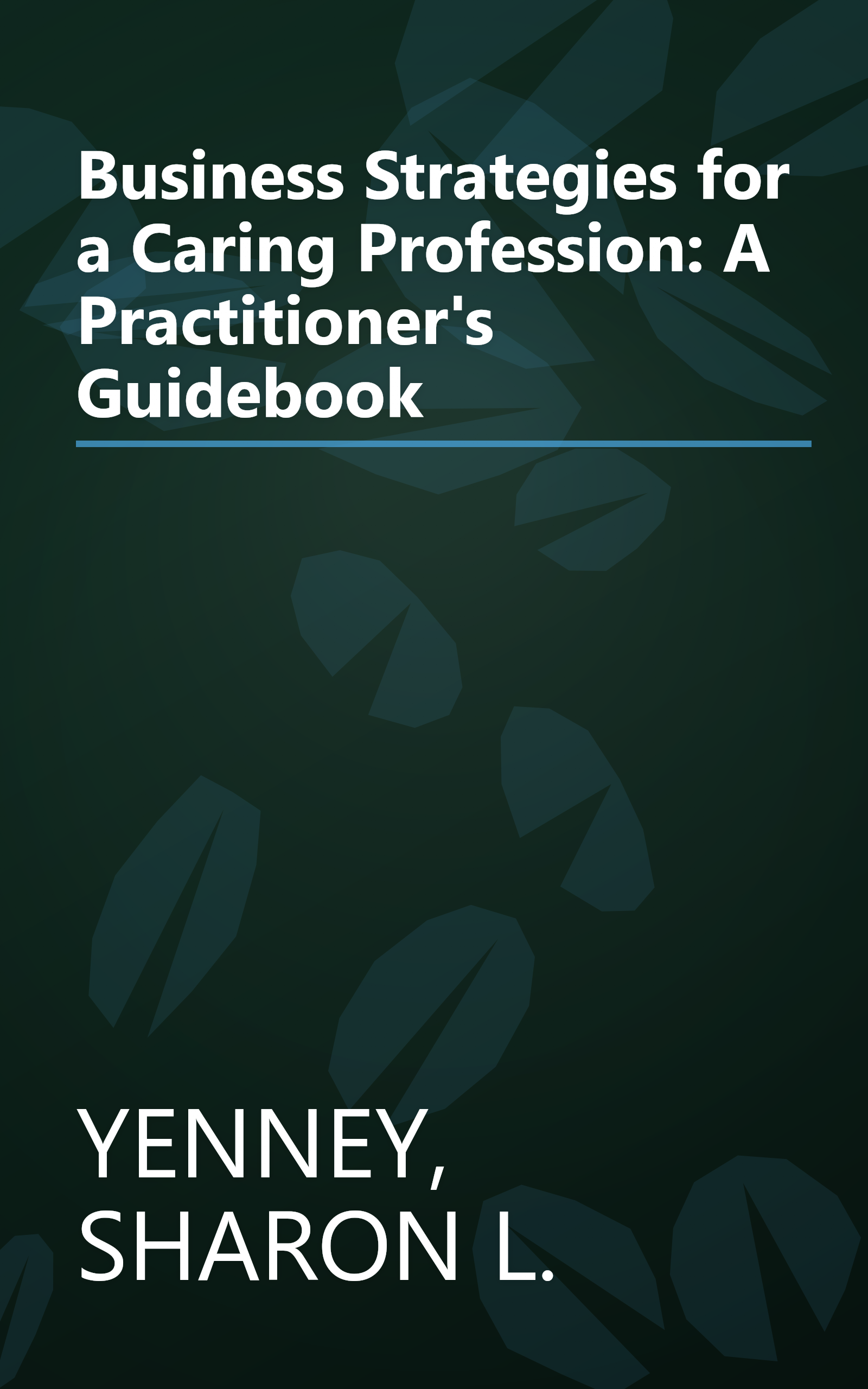Business Strategies for a Caring Profession: A Practitioner's Guidebook book cover