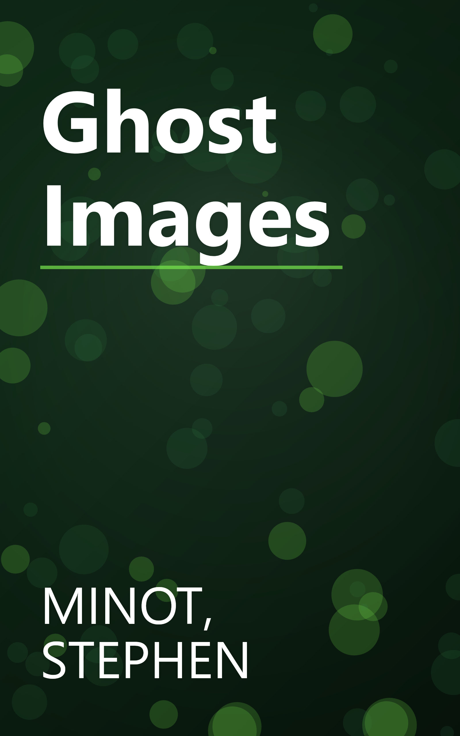 Ghost Images book cover