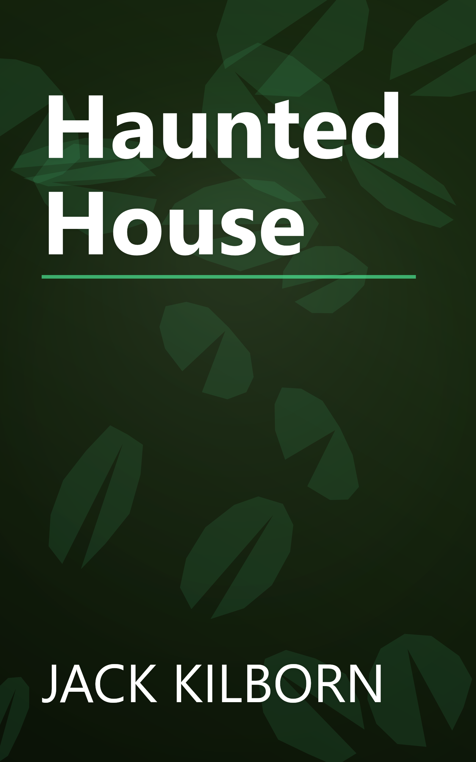 Haunted House book cover