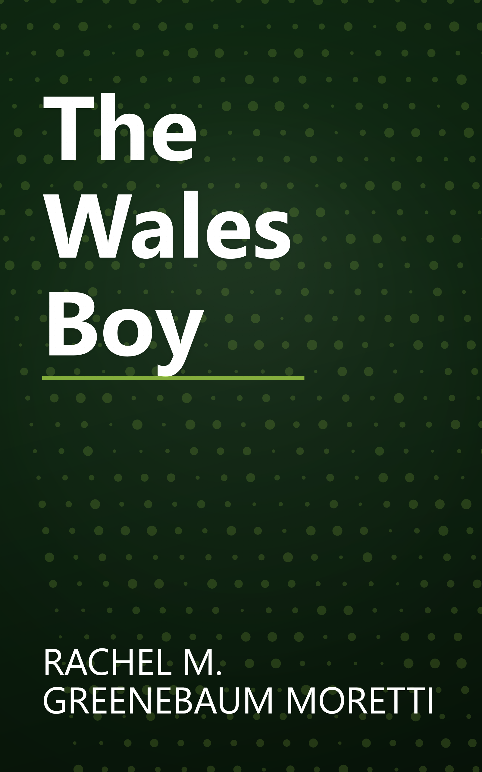 The Wales Boy book cover