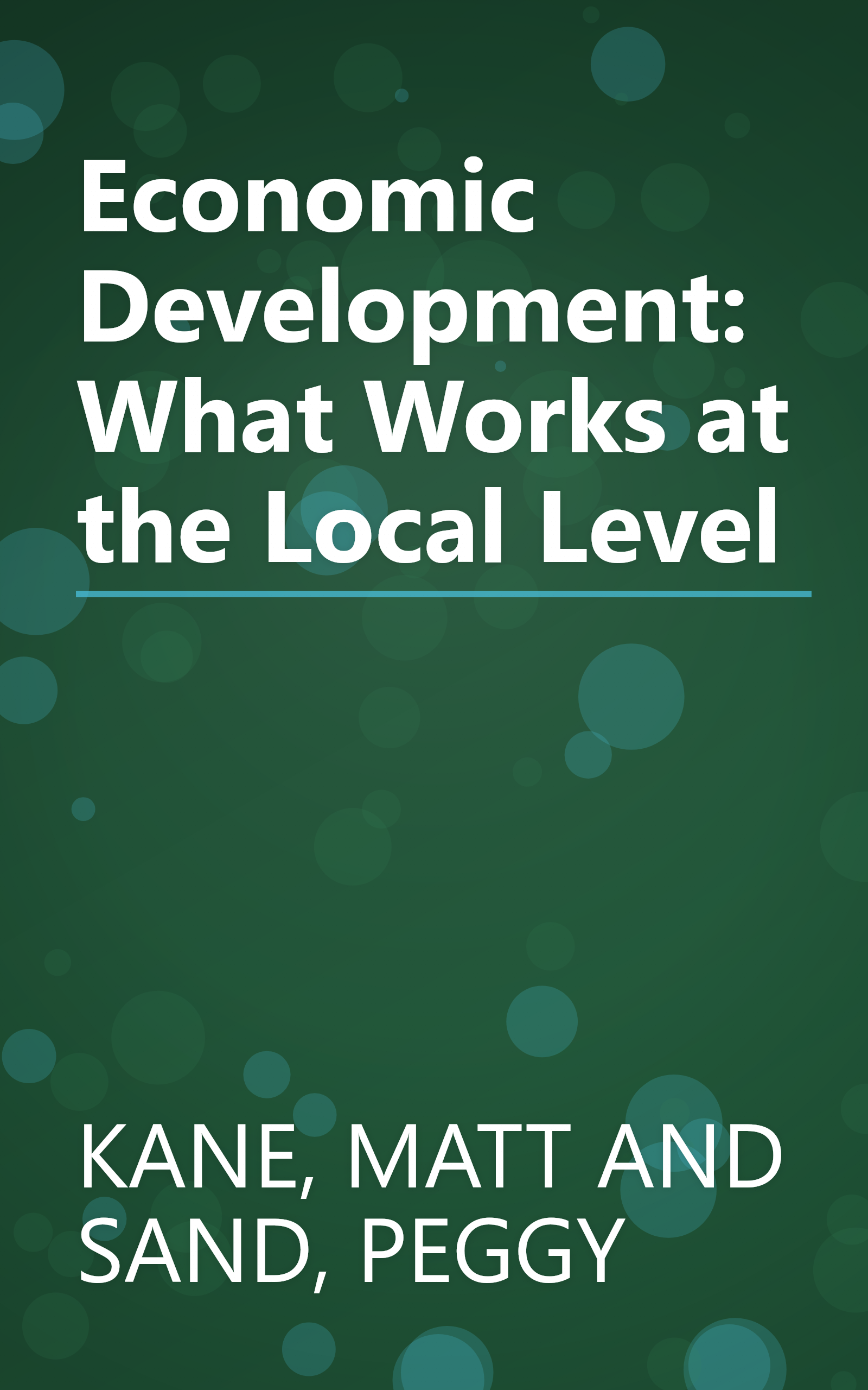 Economic Development: What Works at the Local Level book cover