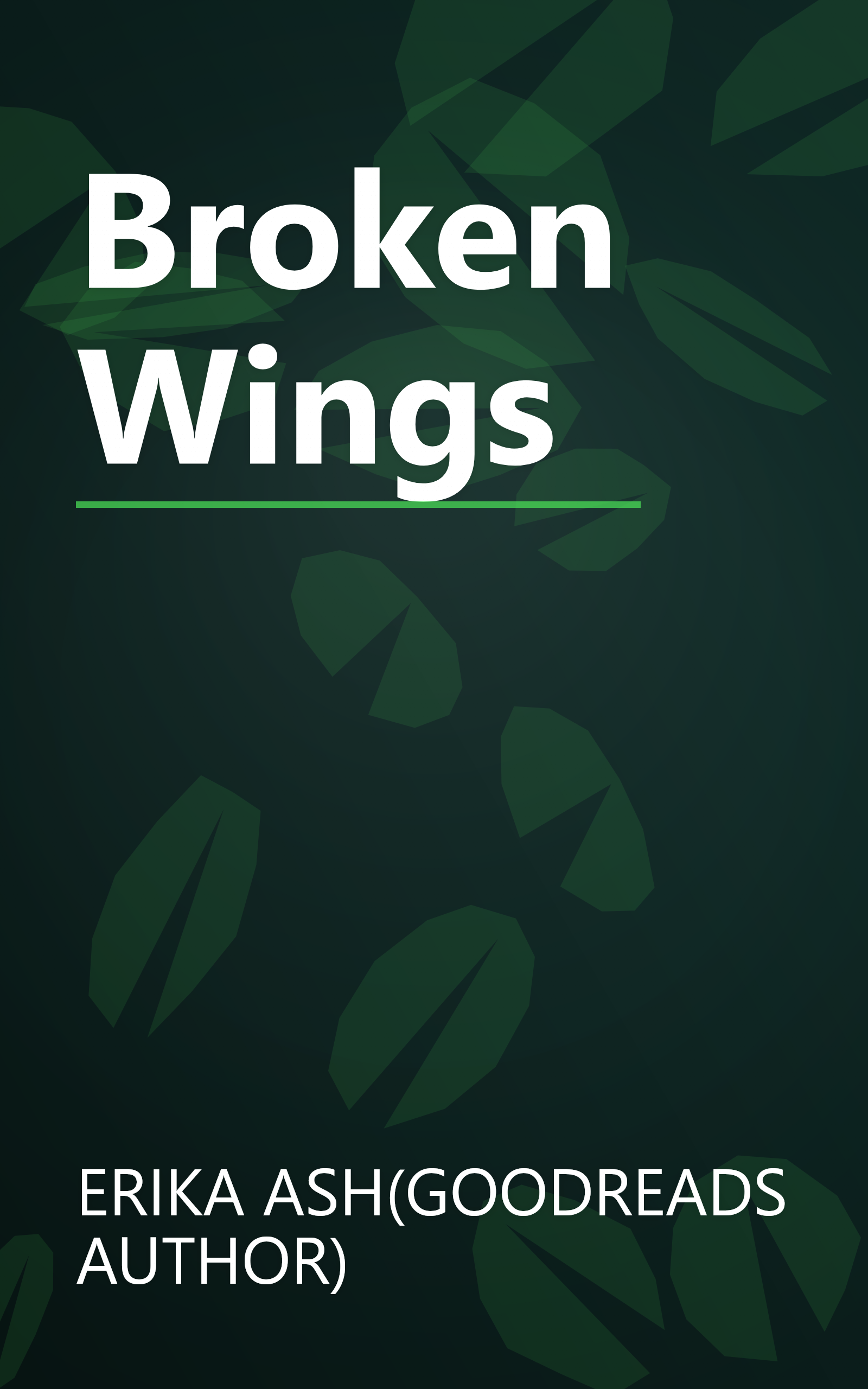 Broken Wings book cover