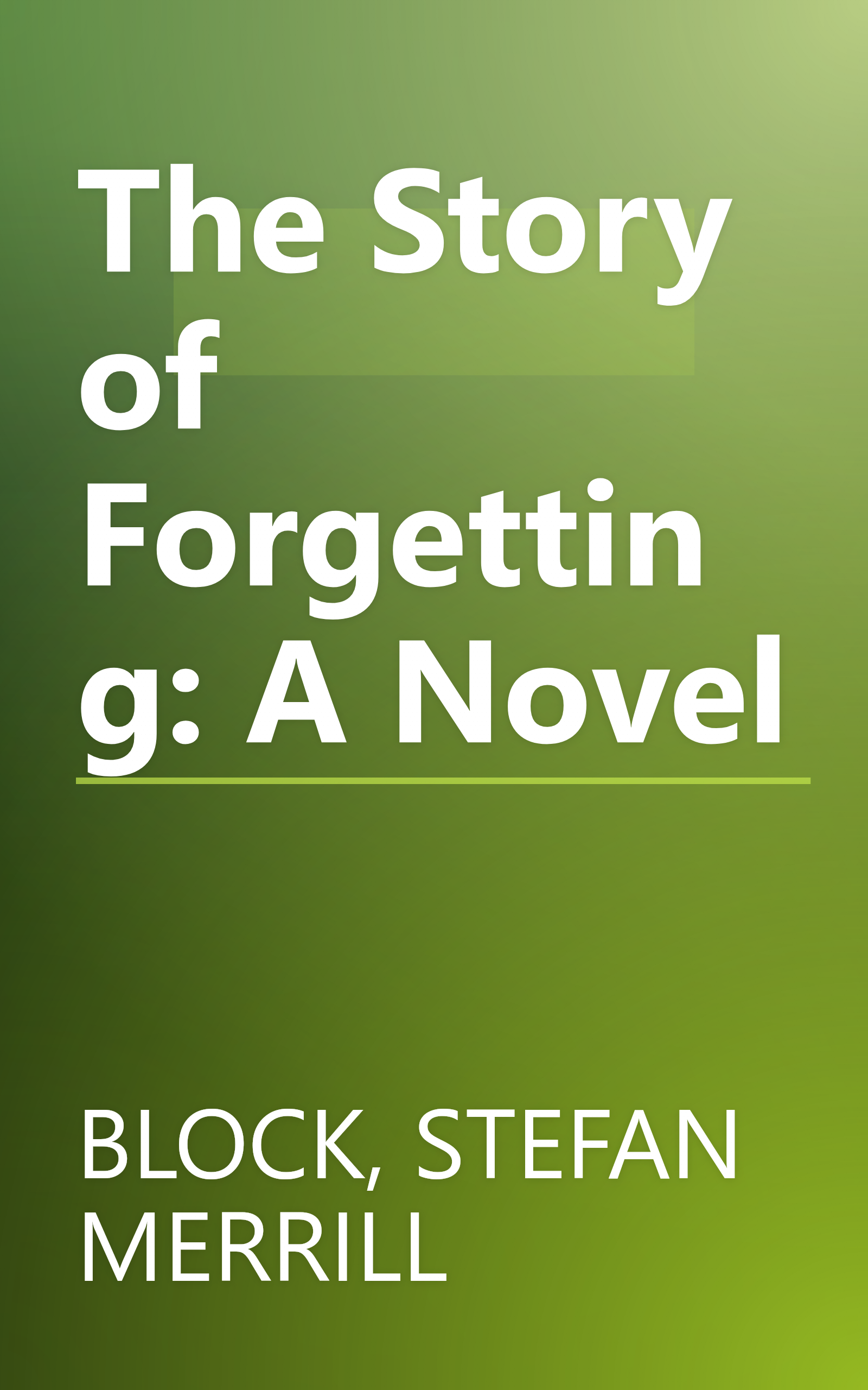 The Story of Forgetting: A Novel book cover