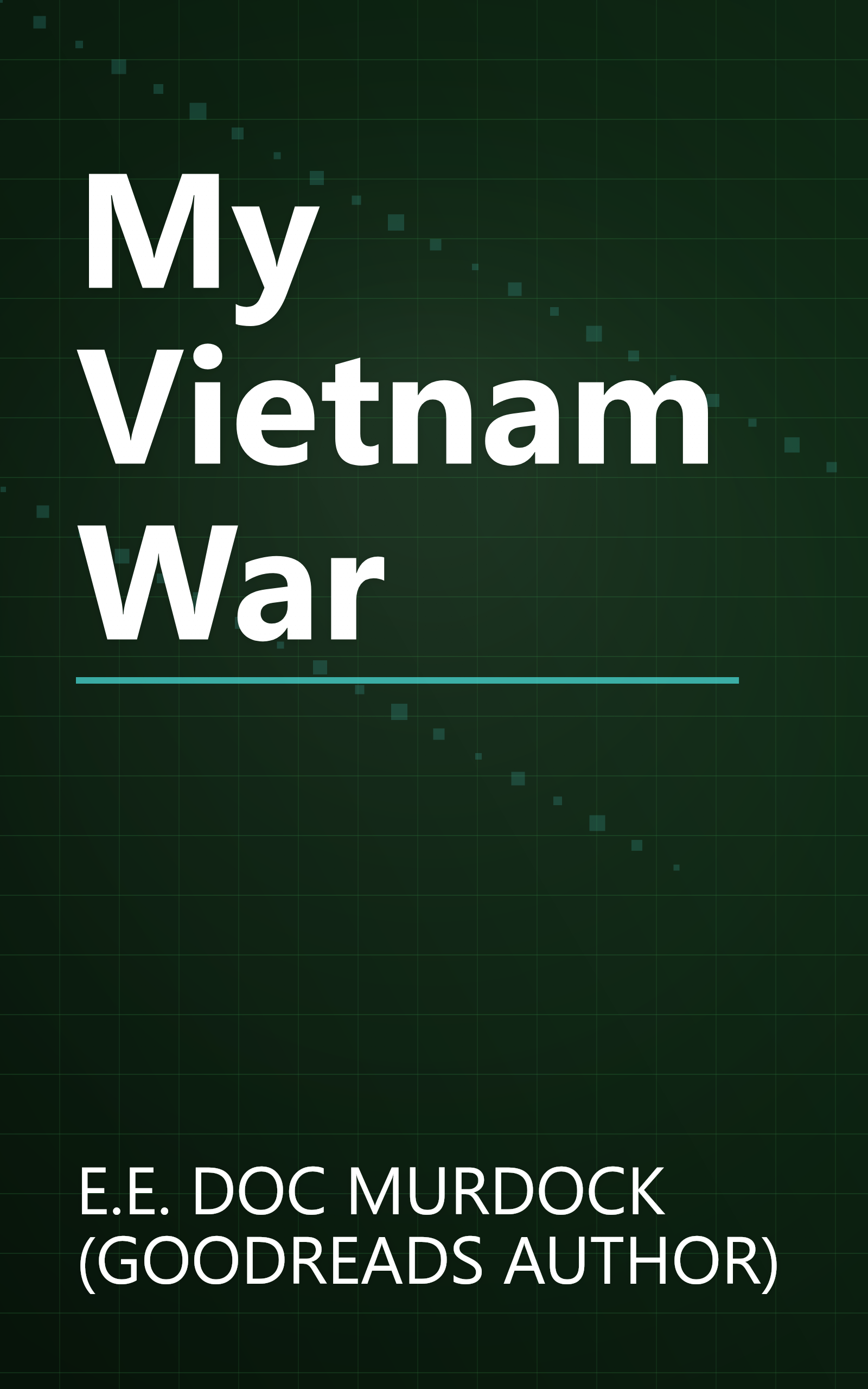 My Vietnam War book cover