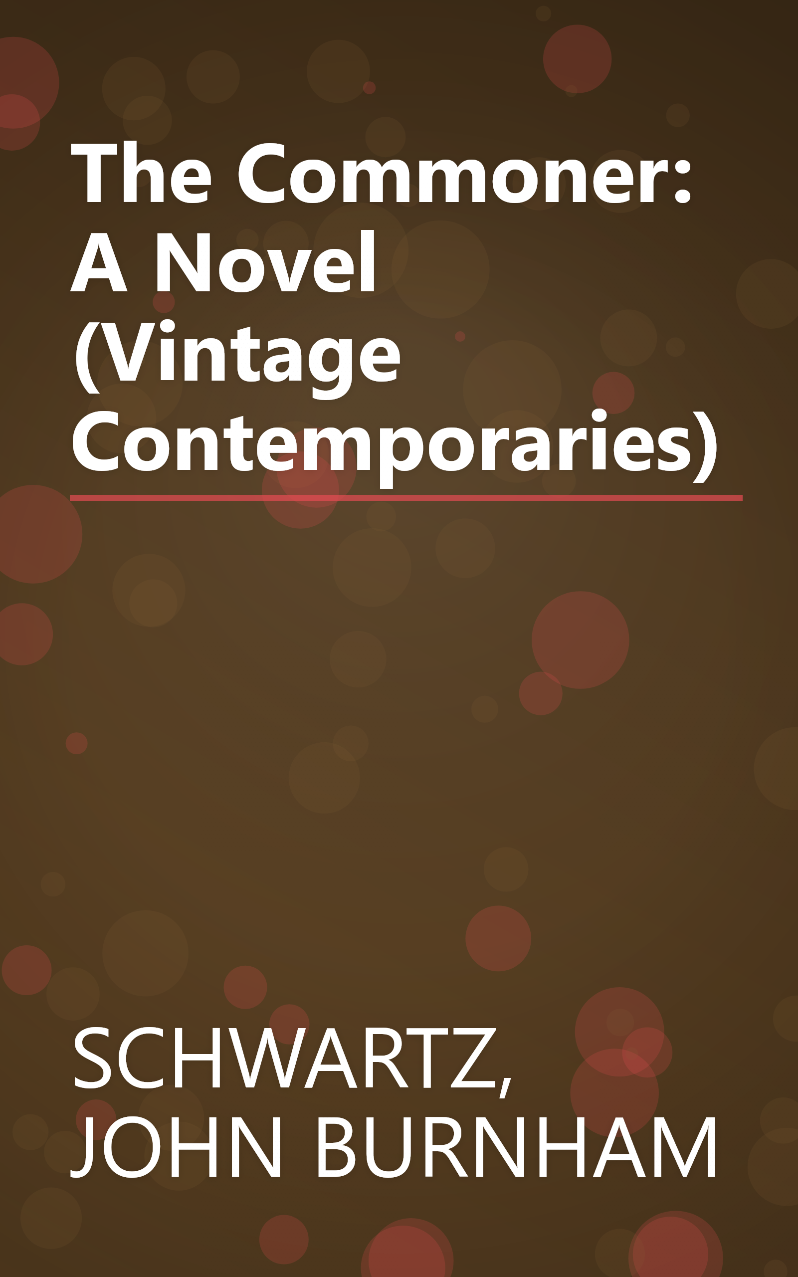 The Commoner: A Novel (Vintage Contemporaries) book cover