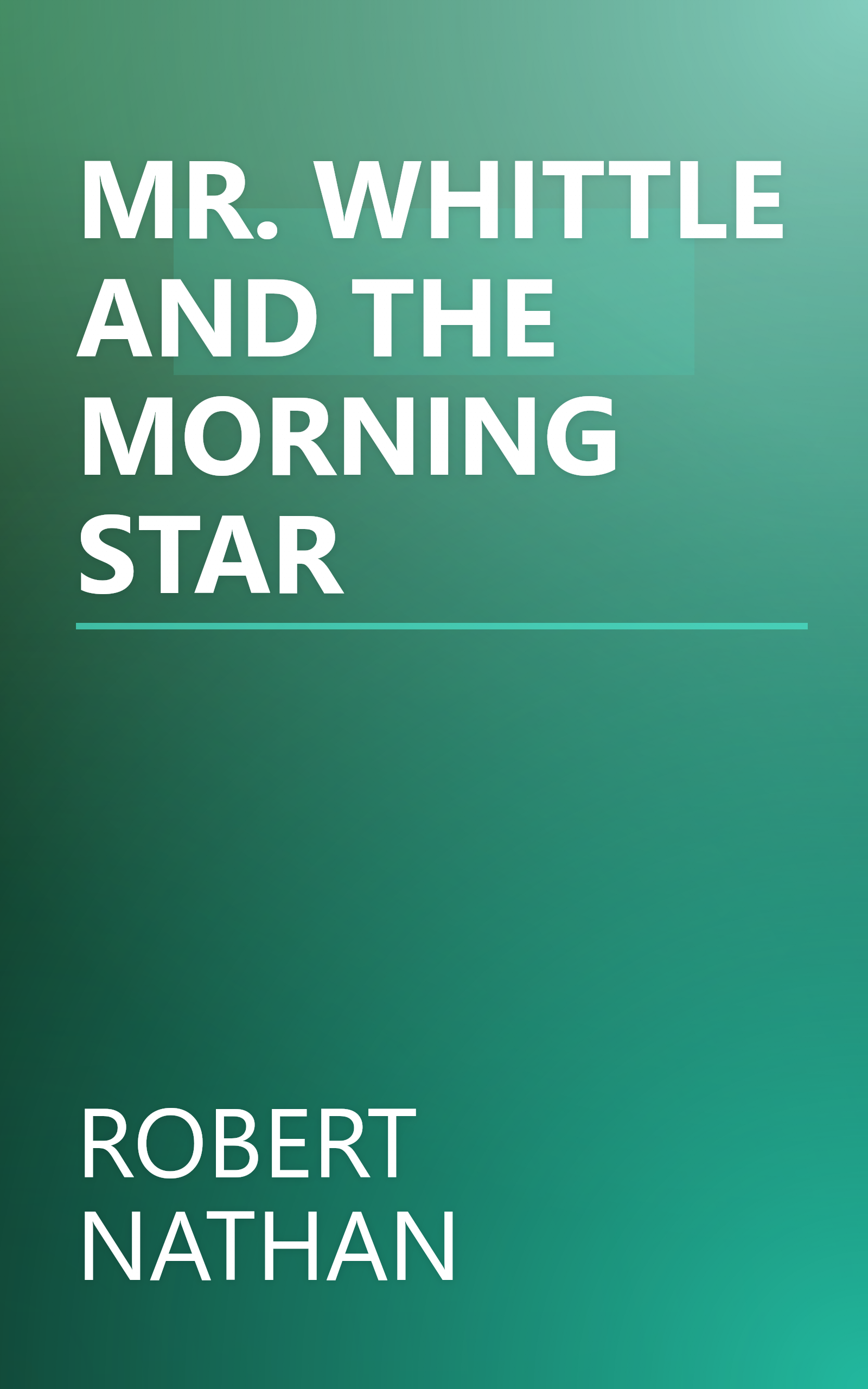 MR. WHITTLE AND THE MORNING STAR book cover