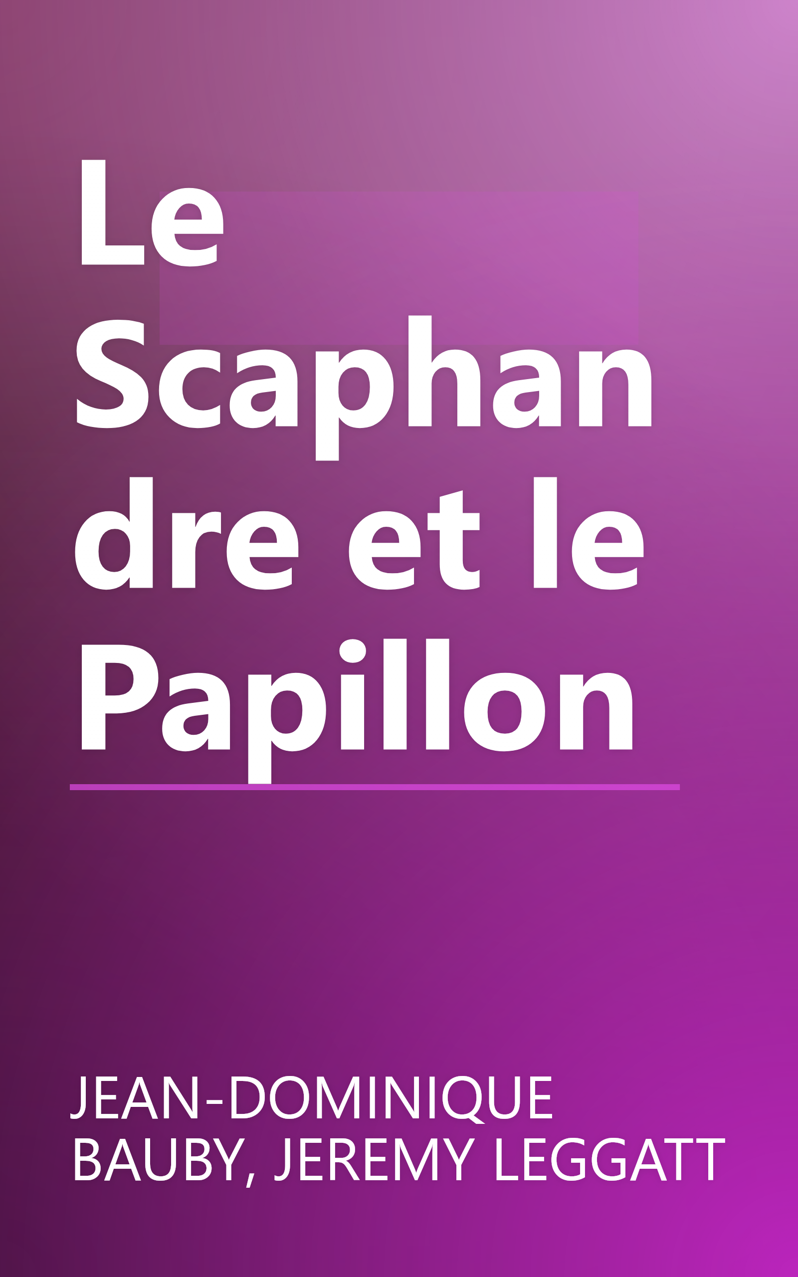 Le Scaphandre et le Papillon book cover