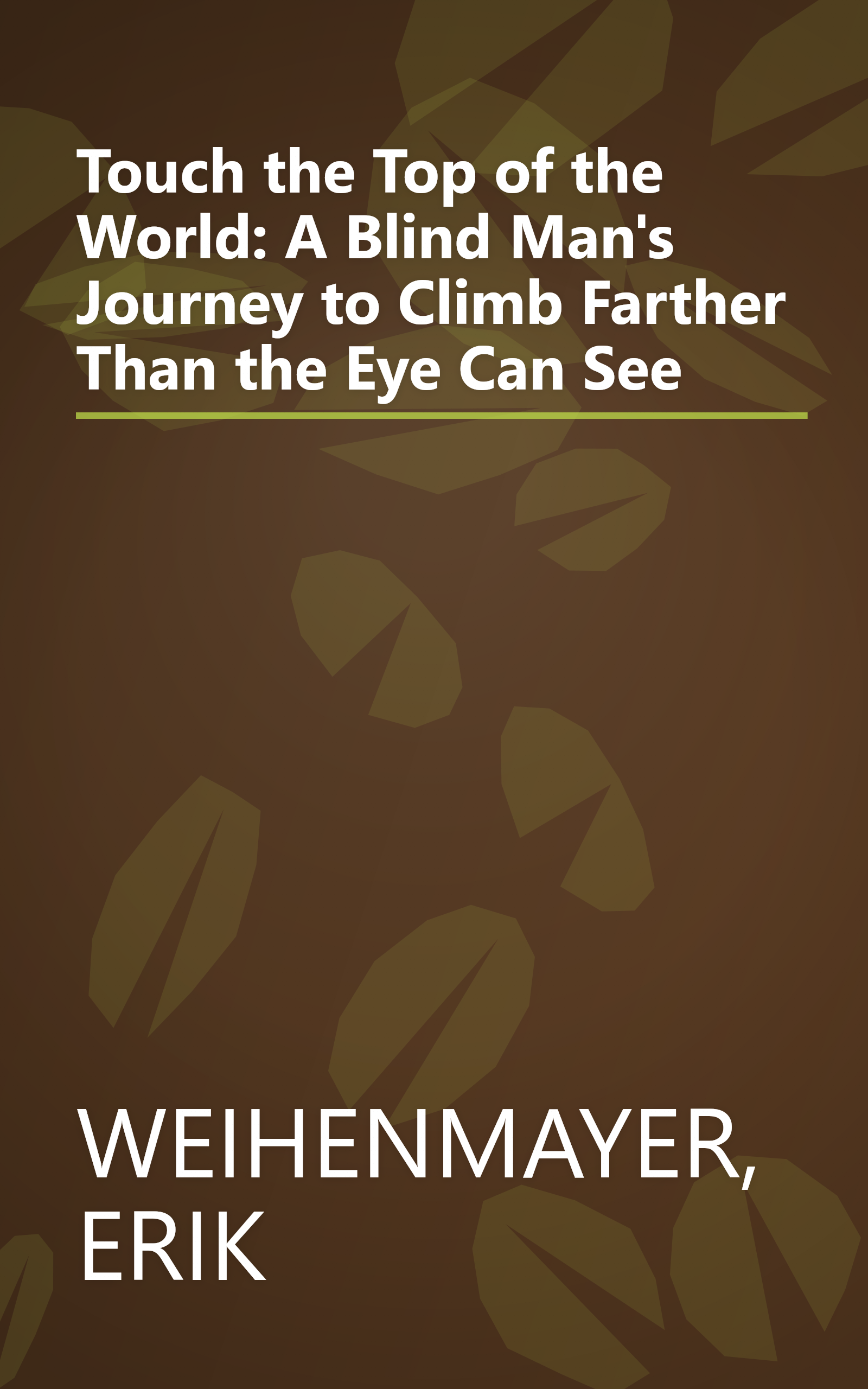 Touch the Top of the World: A Blind Man's Journey to Climb Farther Than the Eye Can See book cover