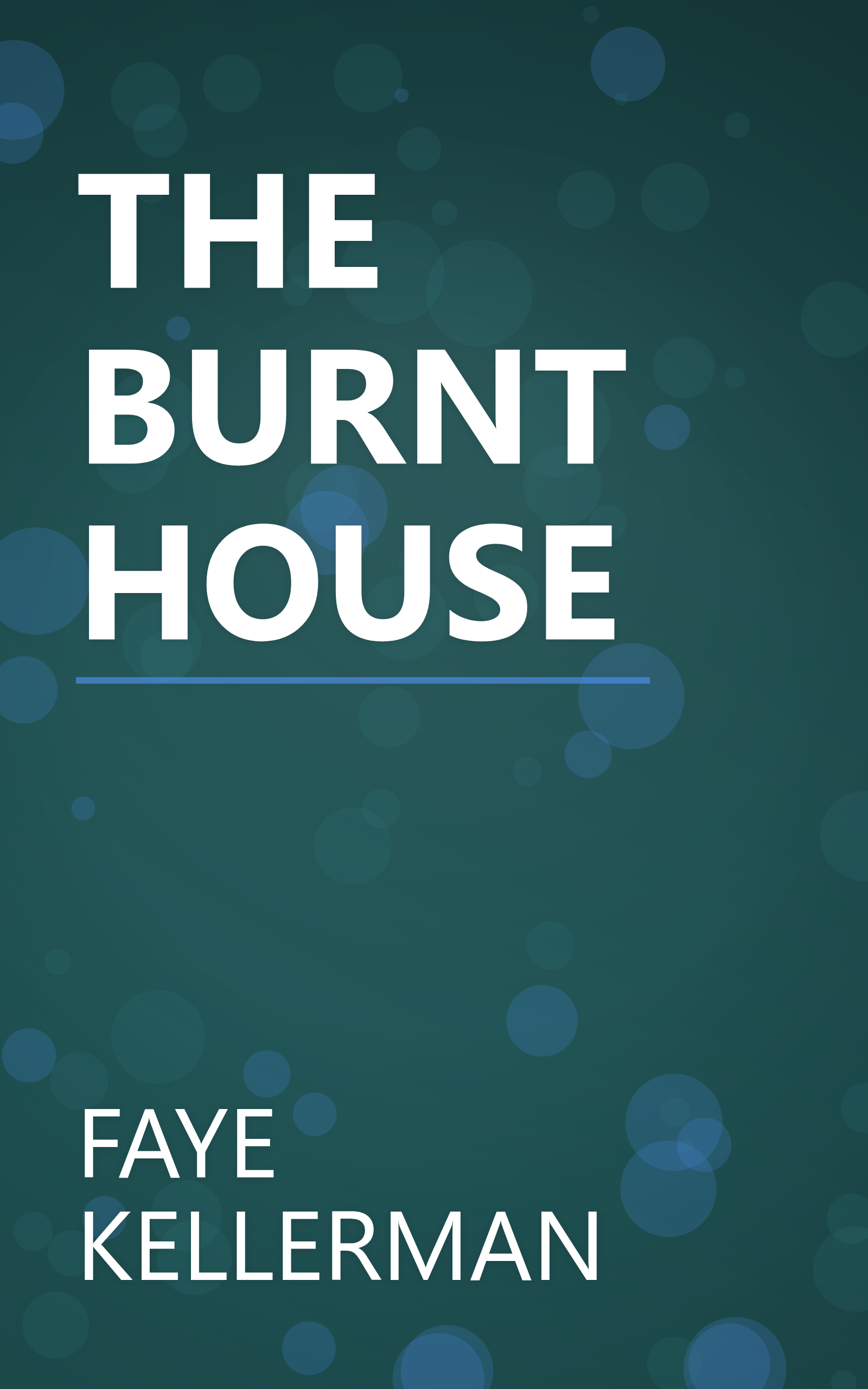 THE BURNT HOUSE book cover