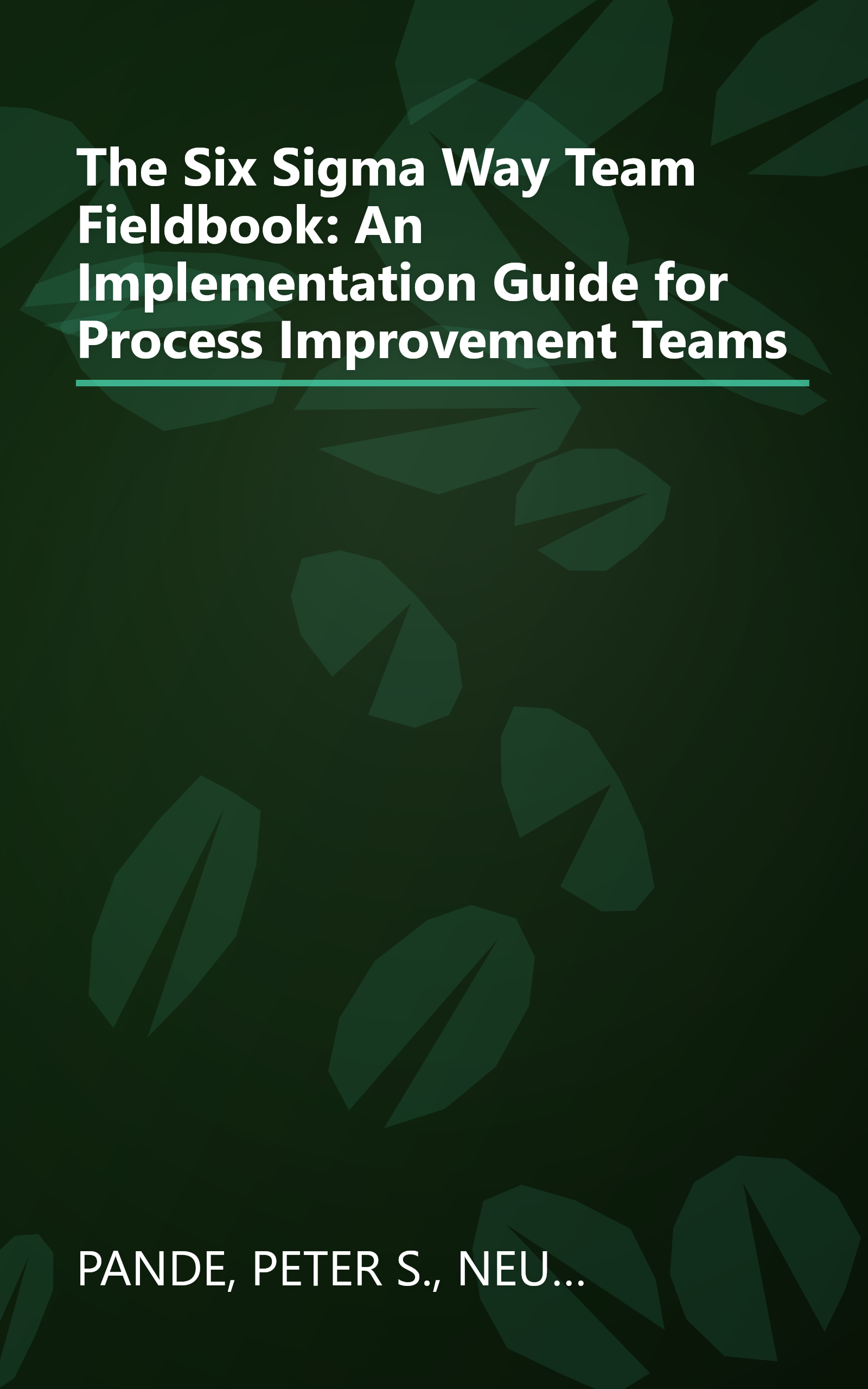The Six Sigma Way Team Fieldbook: An Implementation Guide for Process Improvement Teams book cover