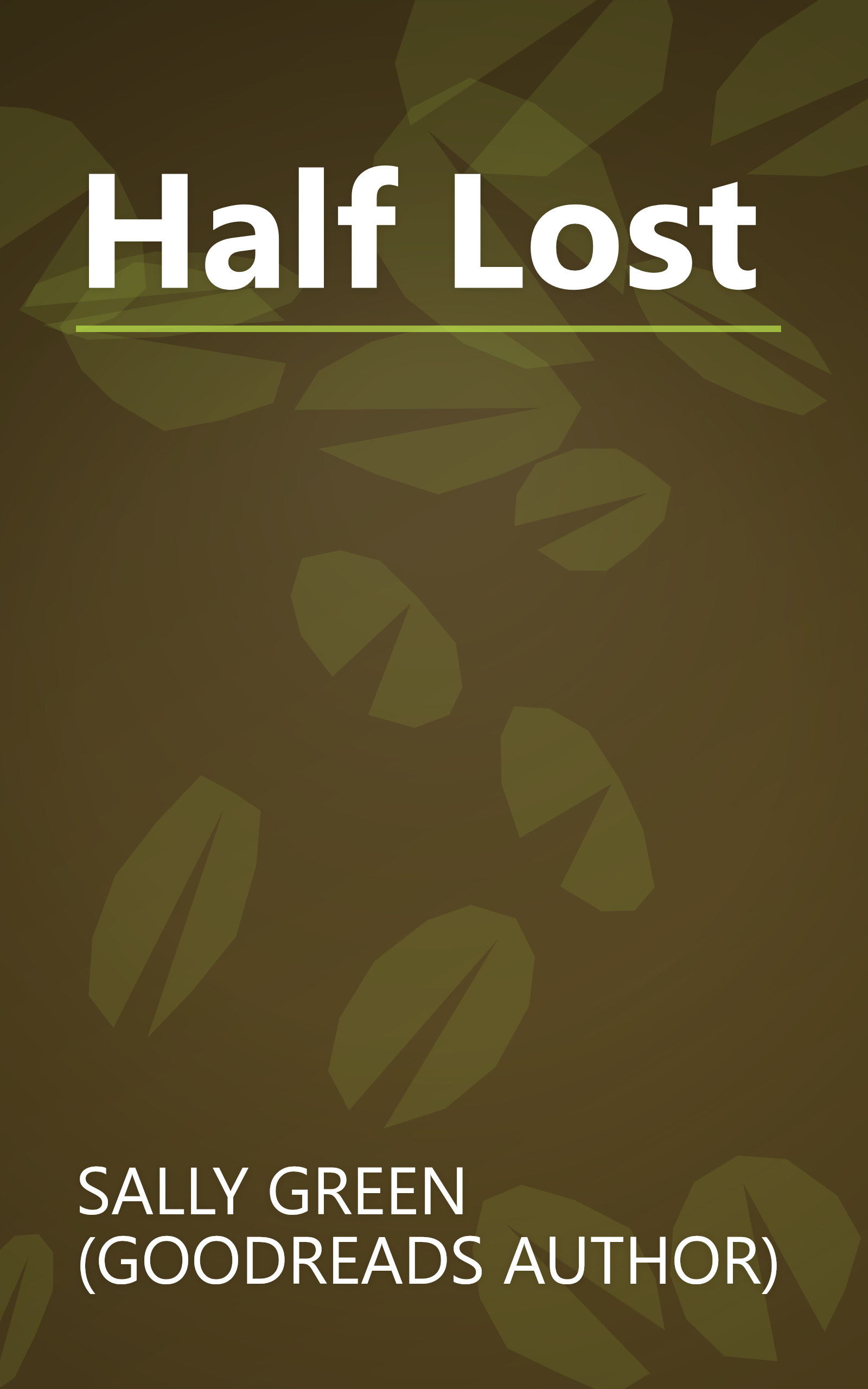 Half Lost book cover